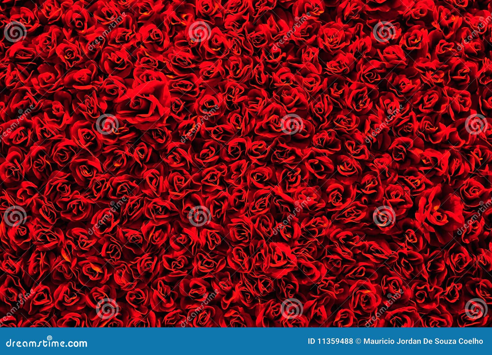 Achtergrond met rode rozen stock foto. Image of valentijn - 11359488