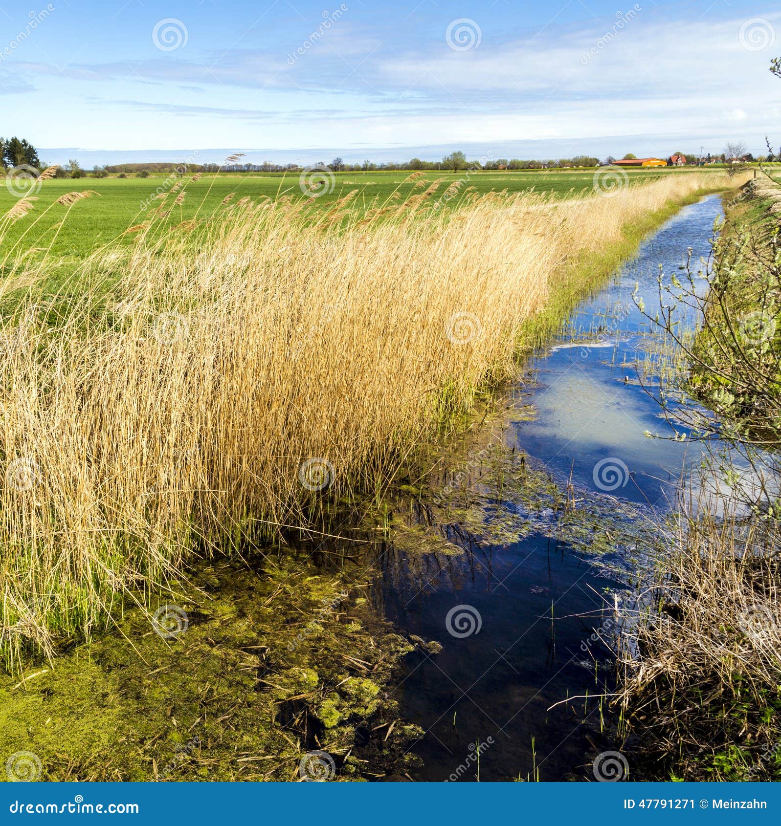 Achterwasser in Usedom at the Baltic Sea Stock Image - Image of ...
