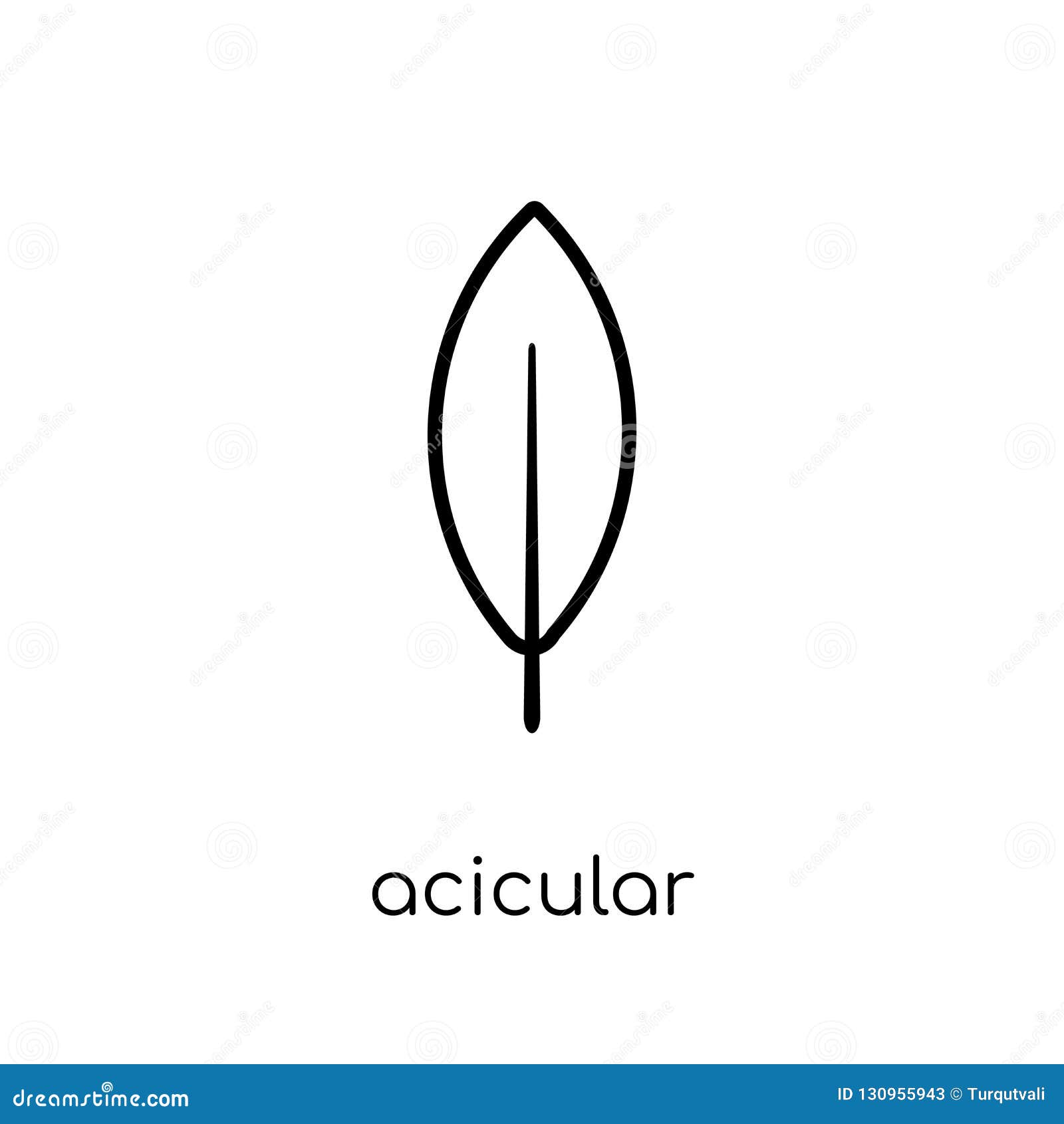 Acicular Icon. Trendy Modern Flat Linear Vector Acicular Icon on Stock ...