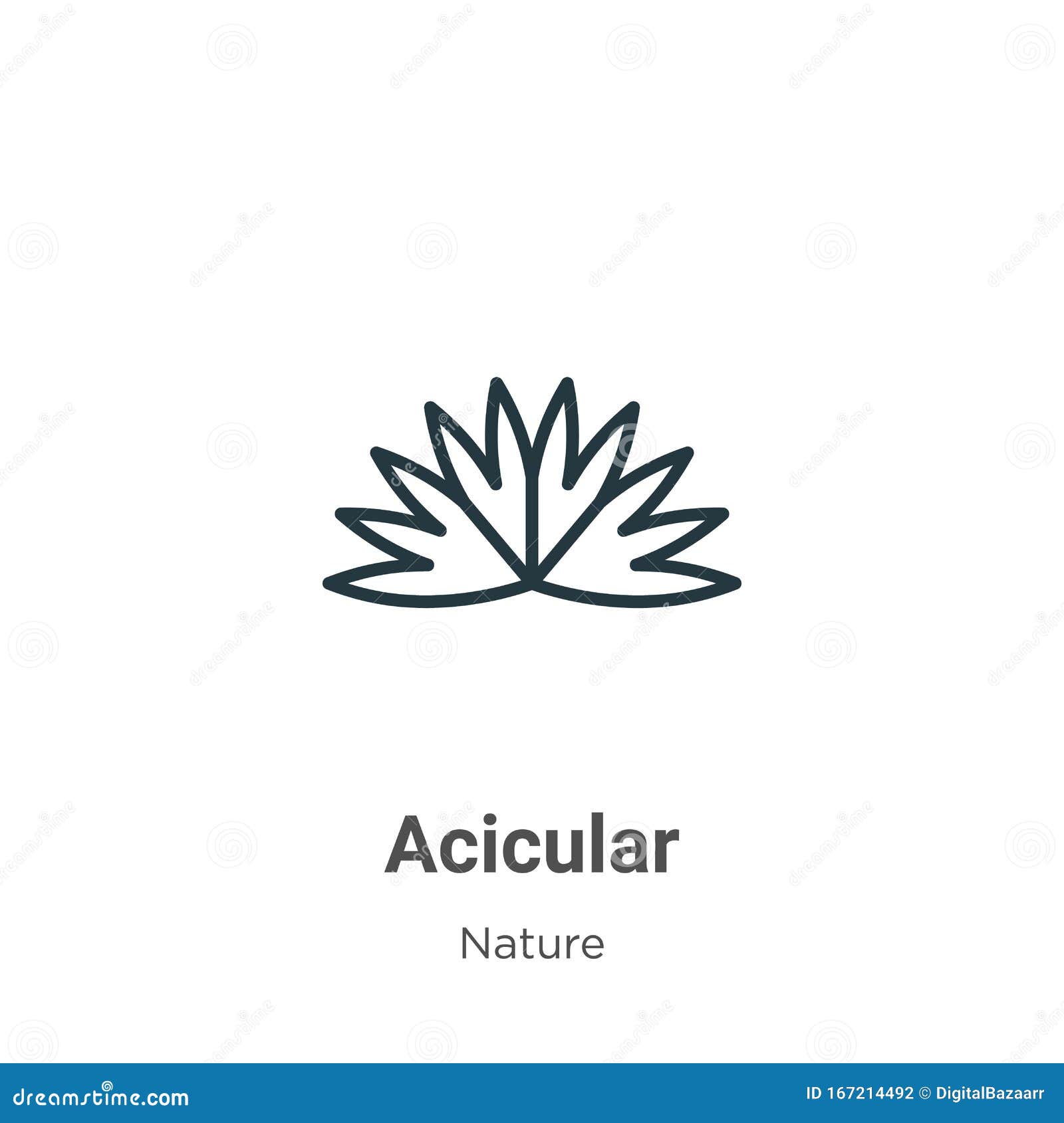 Acicular Vector Icon On White Background. Flat Vector Acicular Icon ...