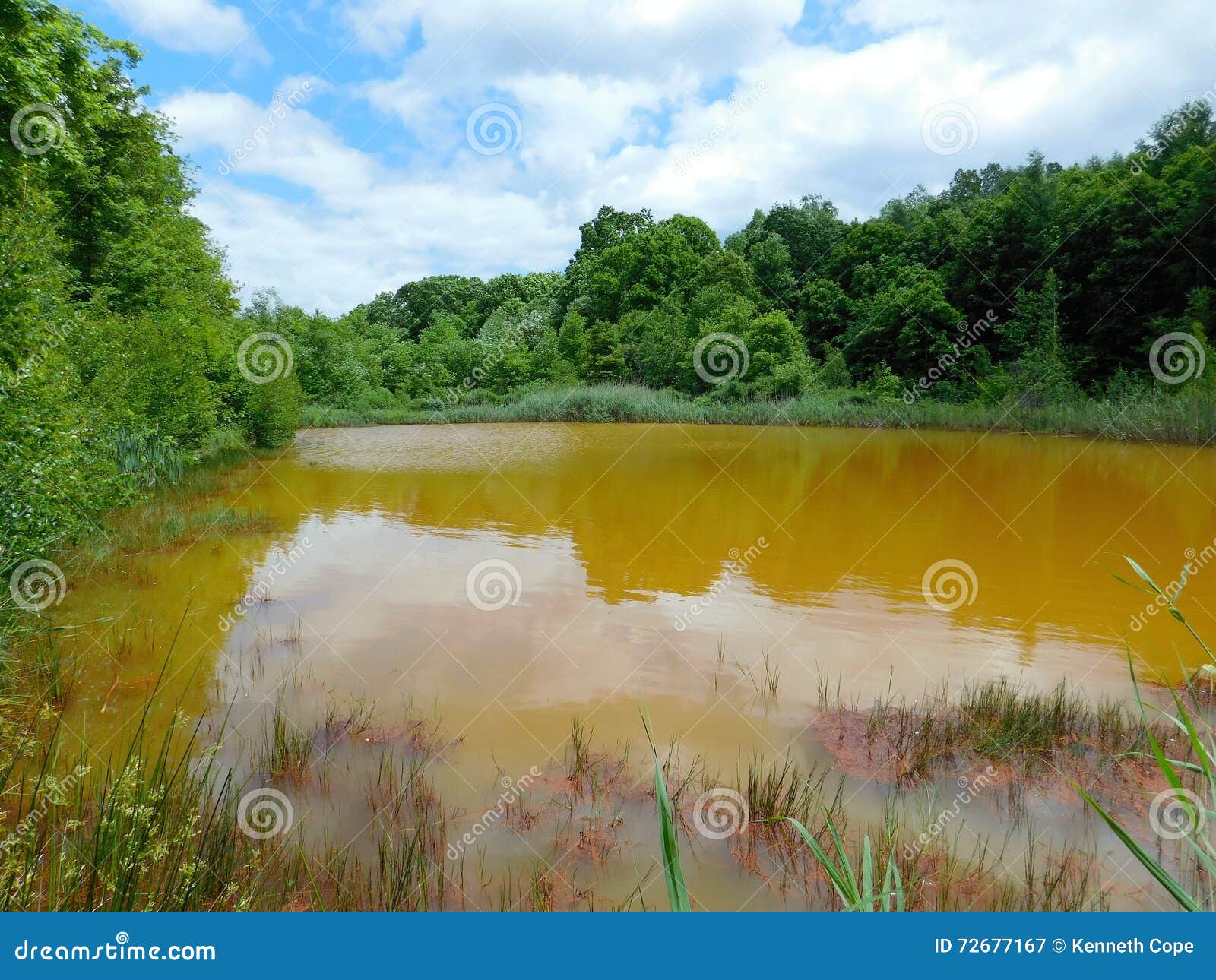 Acid Mine Drainage stock image. Image of biology, conductivity - 72677167