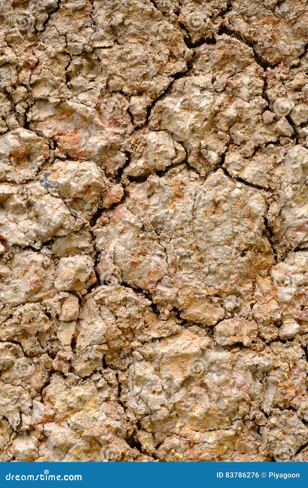 Acid sulfate soils surface stock photo. Image of ecology - 83786276