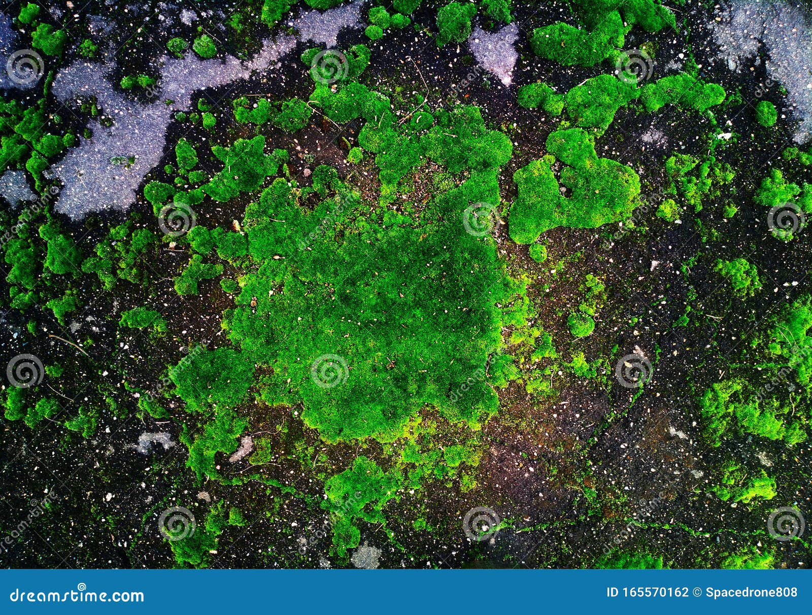 Toxic Tar Asphalt Chemical In Detail And Closeup Clay. Former Dump ...