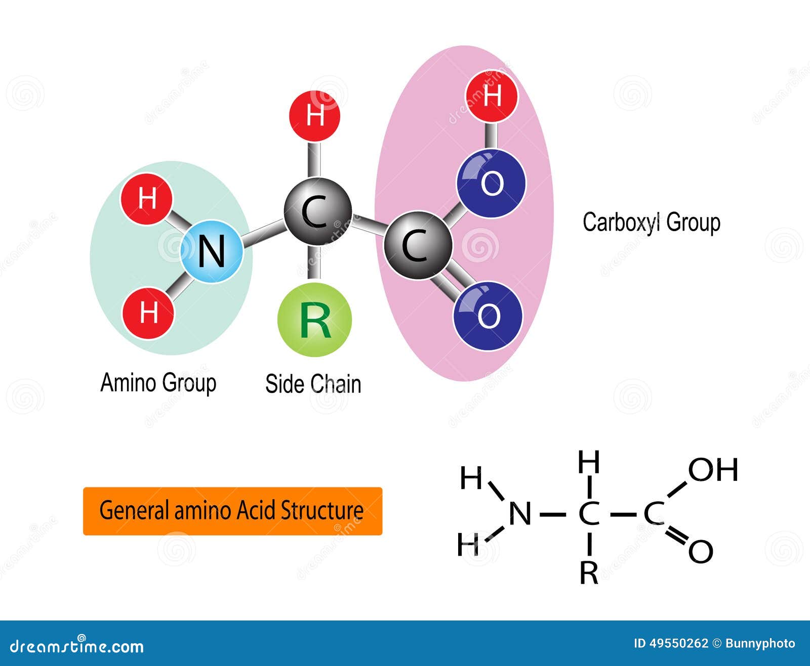 Acide aminé illustration de vecteur. Illustration du formule - 49550262