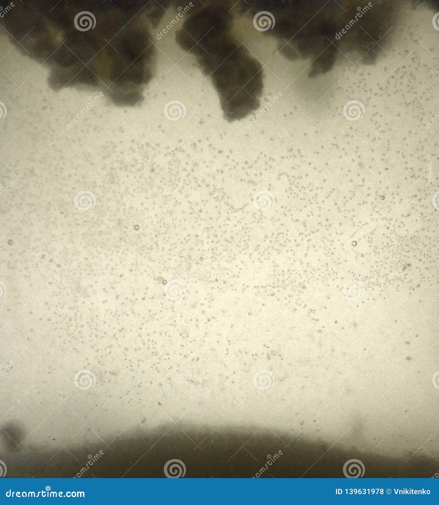 Acidification of the milk stock photo. Image of container - 139631978