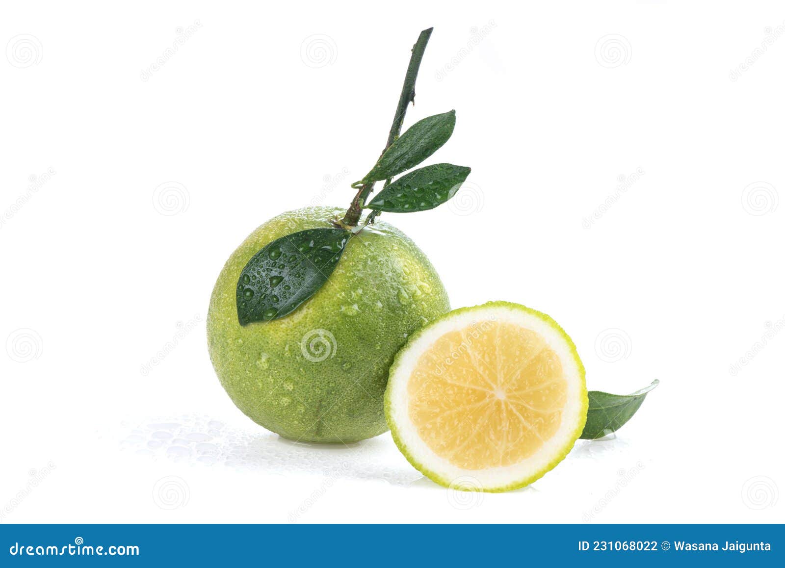 Acidless Orange Fruits Isolated on White Background Stock Photo - Image ...