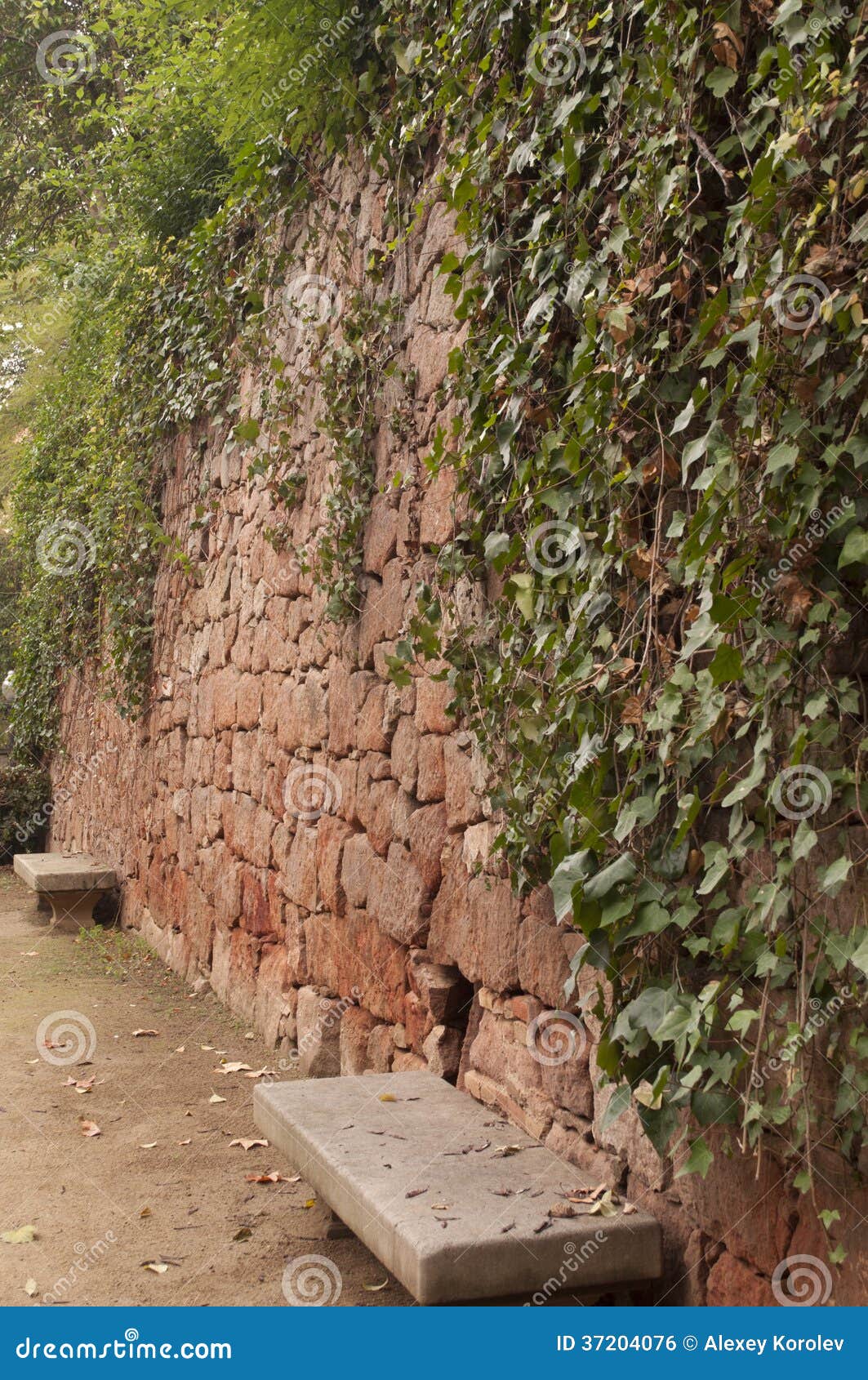 Acient wall stock photo. Image of montjuic, garden, spain - 37204076