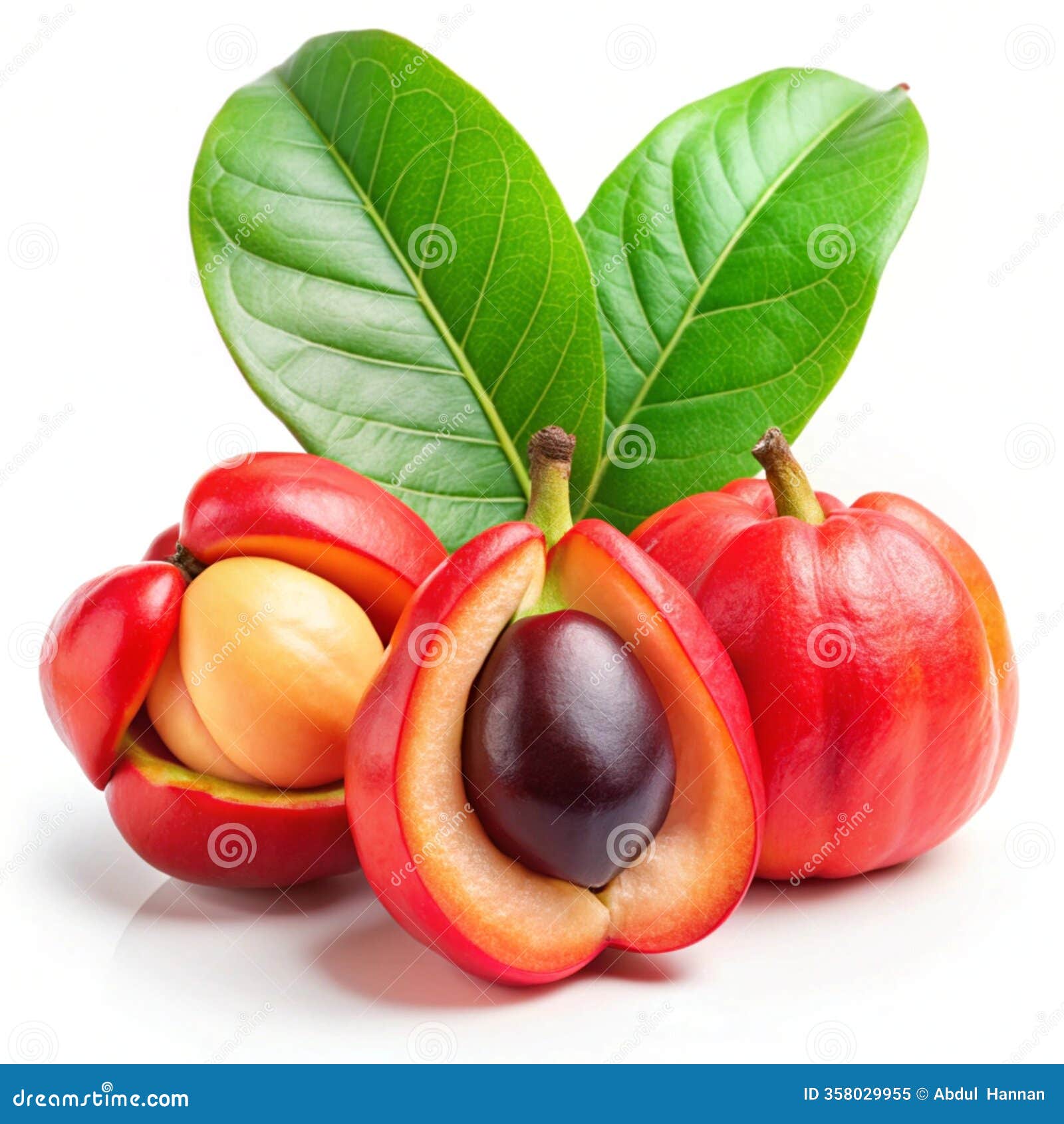 Ackee Fruit Still Life Minimalist Avatar On White Background Royalty ...