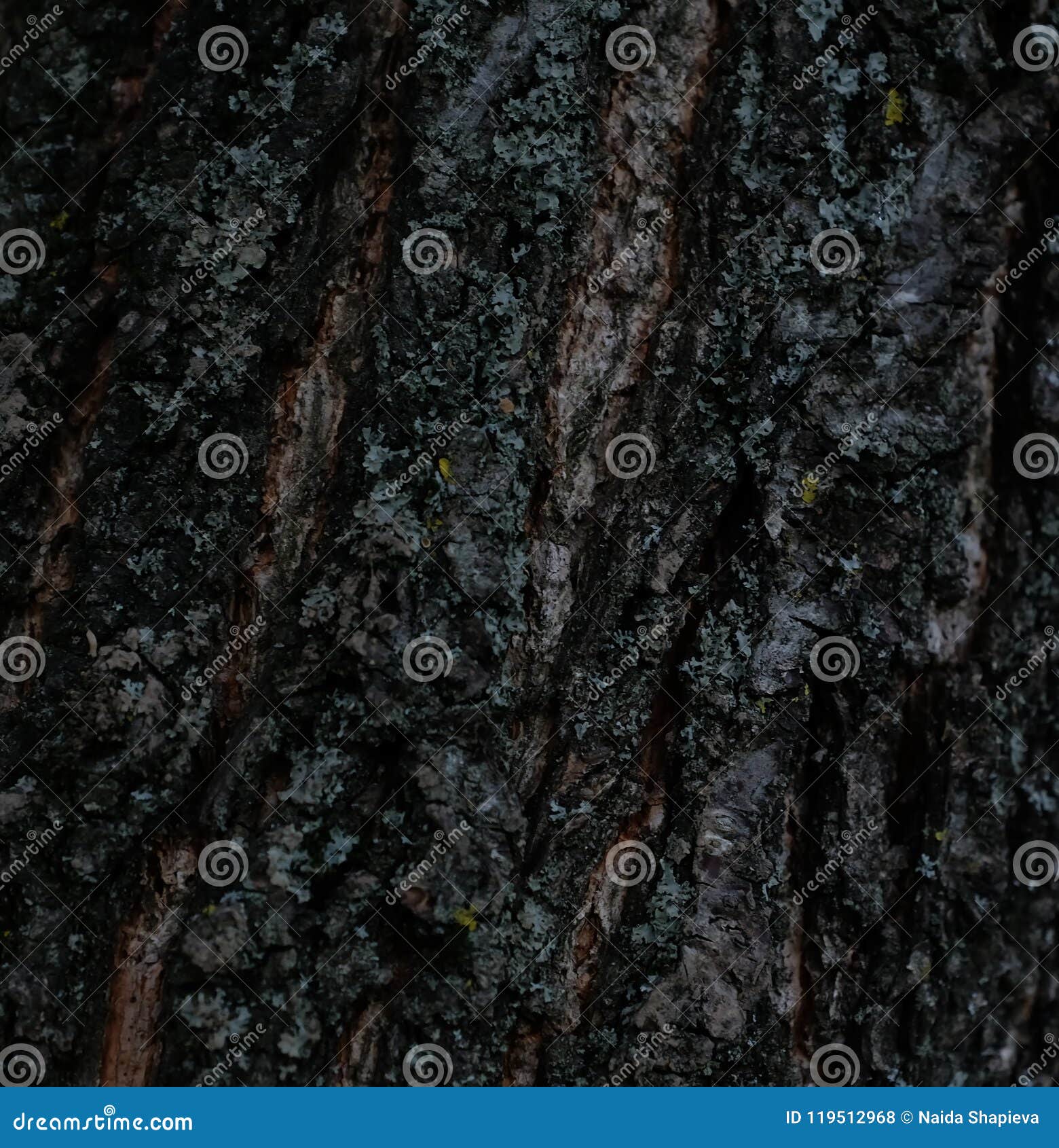 Ackground Texture Bronze Dark Copper. Old Texture. Cardboard Paper ...