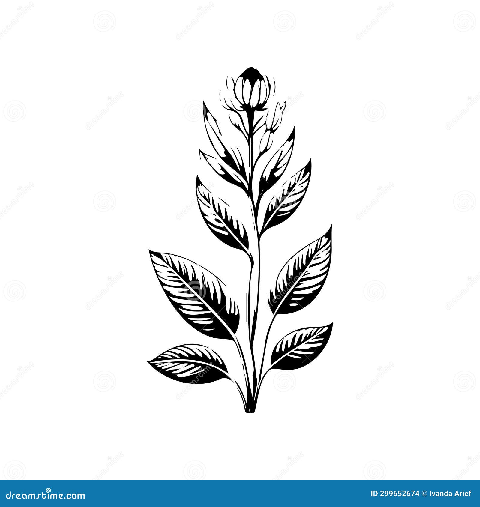 Aconite Icon Hand Draw Black Plant Logo Symbol Perfect Stock Vector ...