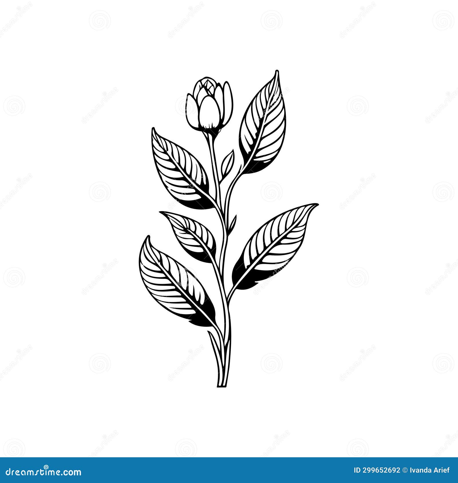 Aconite Icon Hand Draw Black Plant Logo Symbol Perfect Stock Vector ...