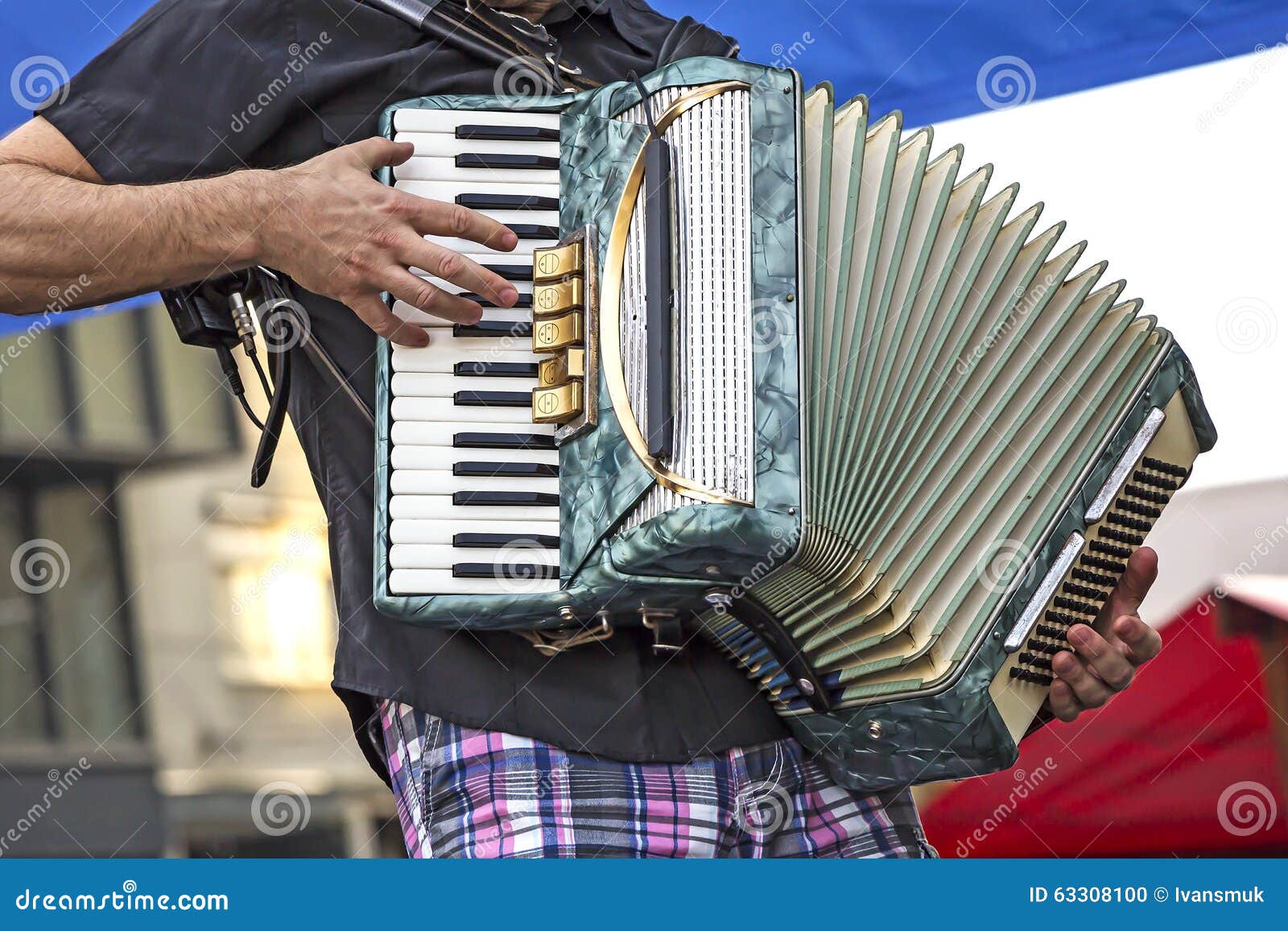 Acordeonista joven foto de archivo. Imagen de gente, vendimia - 63308100