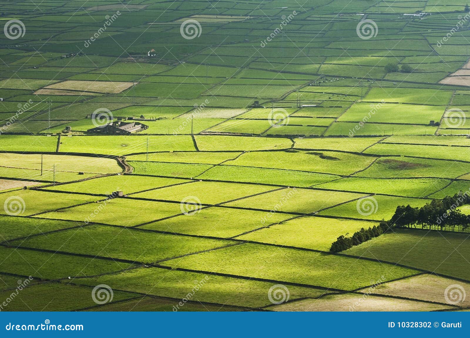 Acores stock photo. Image of farmland, azores, farm, acores - 10328302