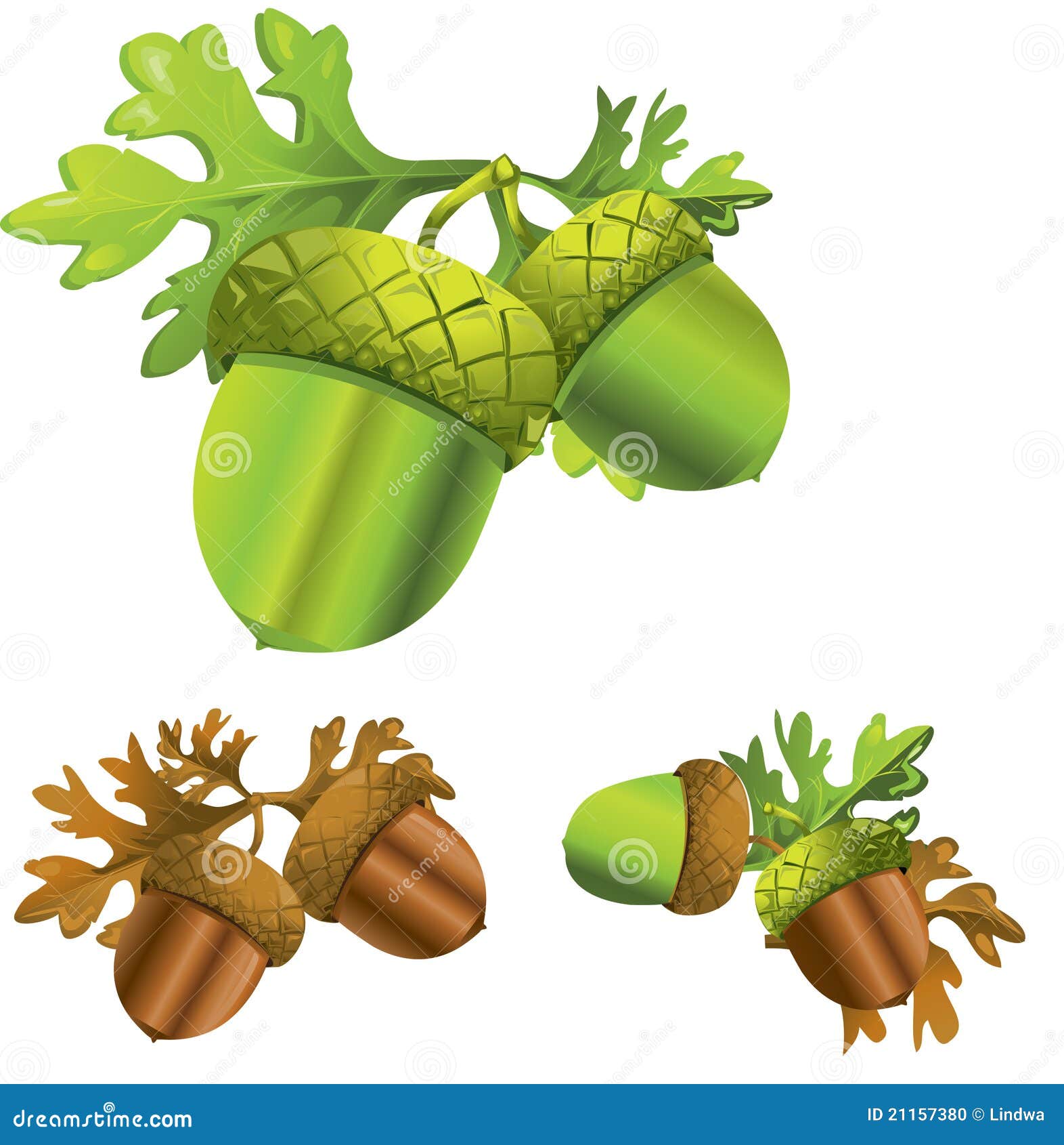 Abstract Acorn Pattern - Seamless Background - Wood Texture Stock Image ...