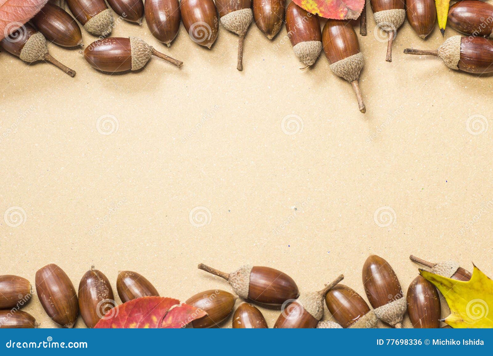 Acorn and Autumn Leaf Border Stock Photo - Image of border, leaf: 77698336