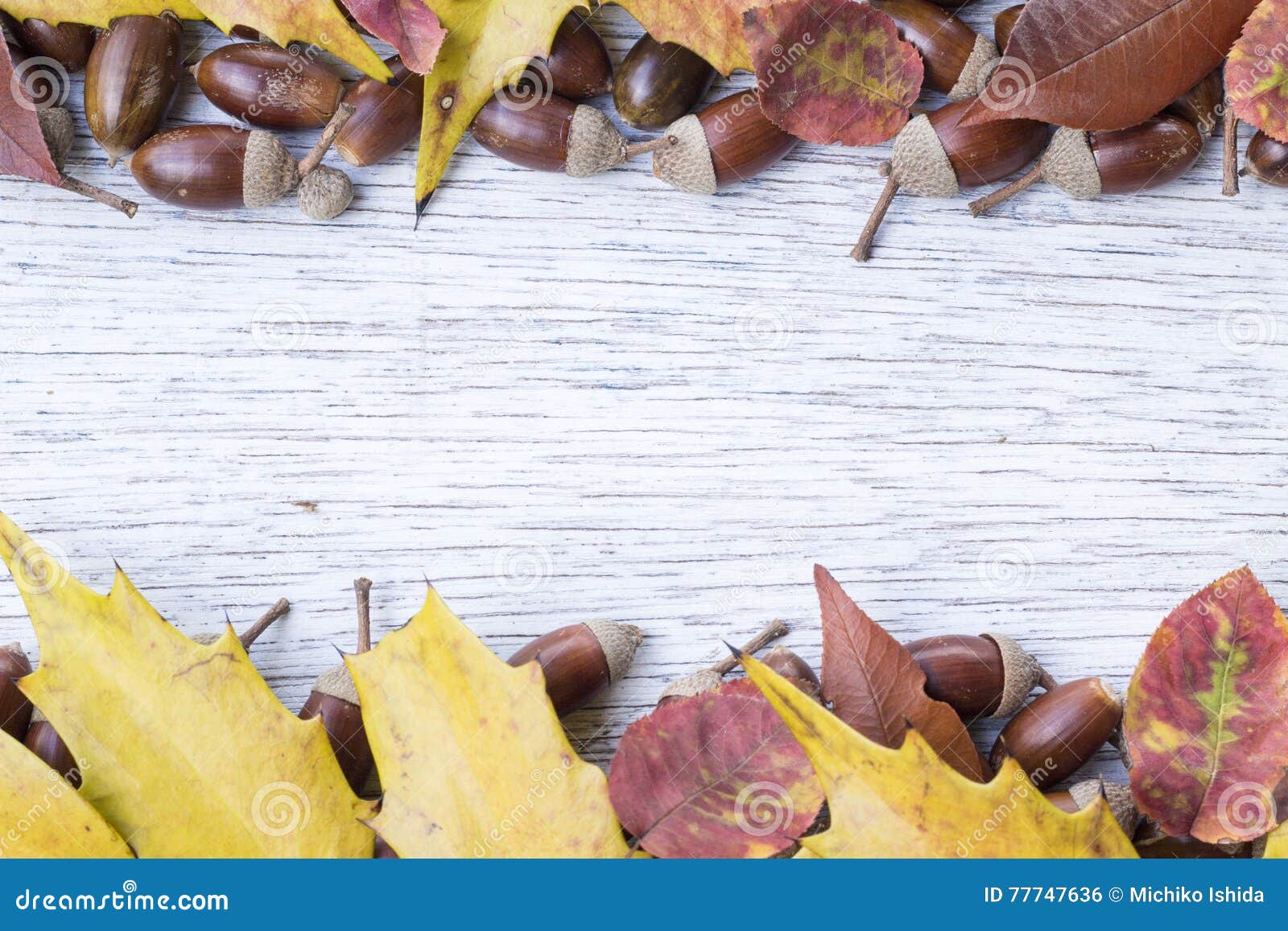 Acorn and Autumn Leaf Border Frame Stock Photo - Image of nature ...