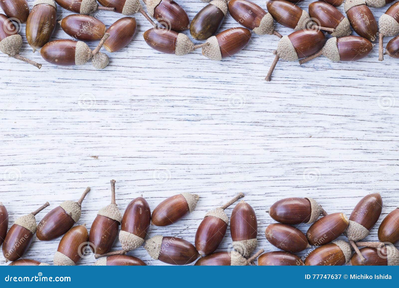 Acorn border frame stock image. Image of fall, botanic - 77747637