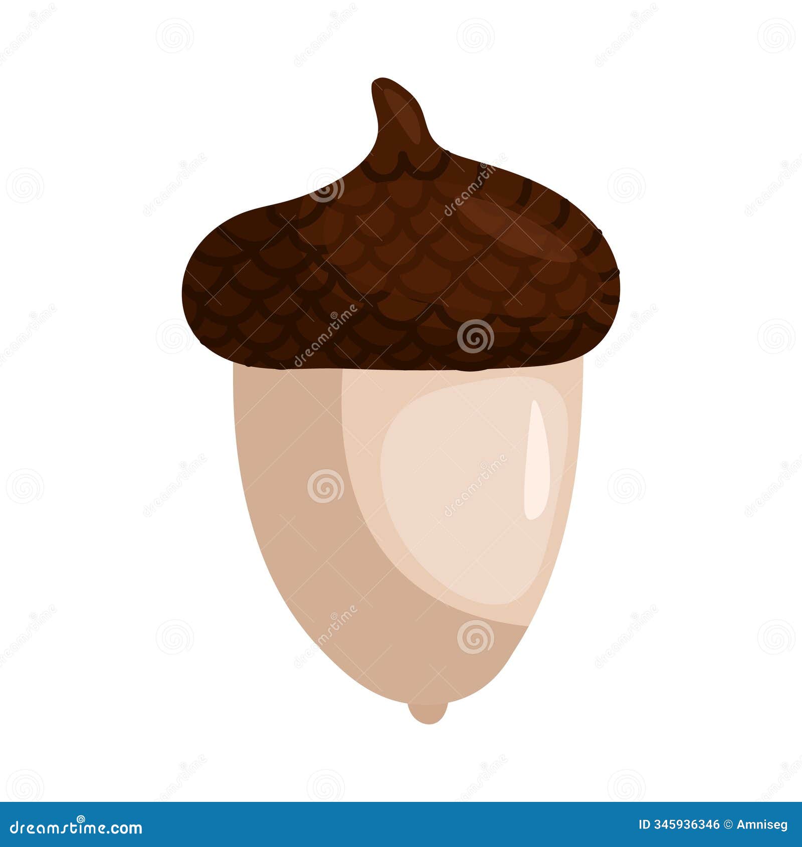 Oak Nut, Acorn Cartoon Illustration Isolated On White. Autumn Symbol ...