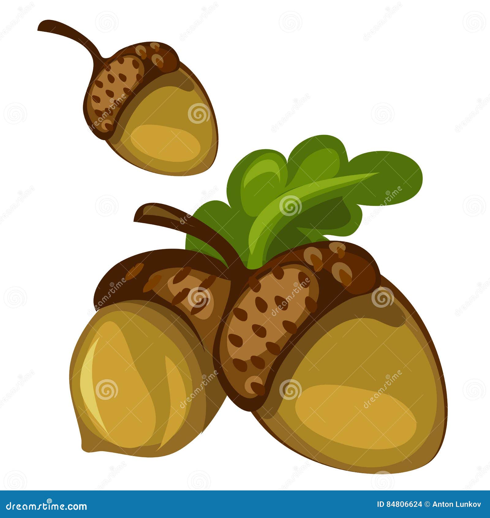 Cartoon Acorn