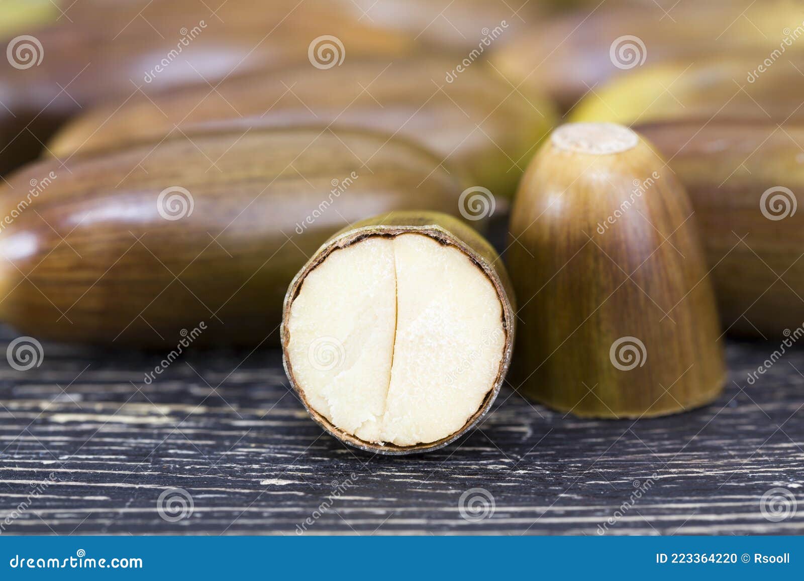 Acorn cut stock photo. Image of vegetable, wood, healthy - 223364220