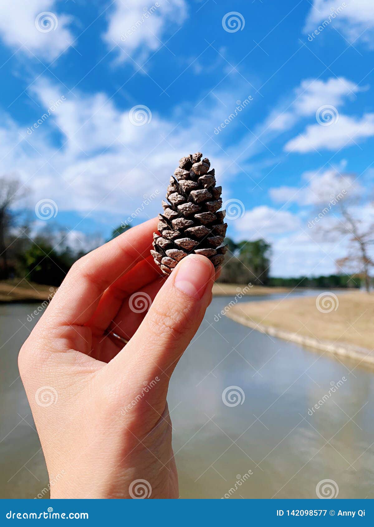 Acorn stock image. Image of blue, acorn, hand, holding - 142098577