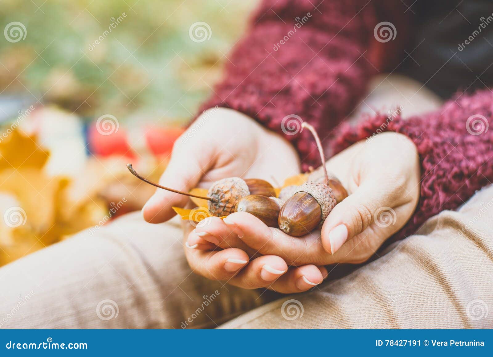 Acorn in hand stock image. Image of pressure, natural - 78427191