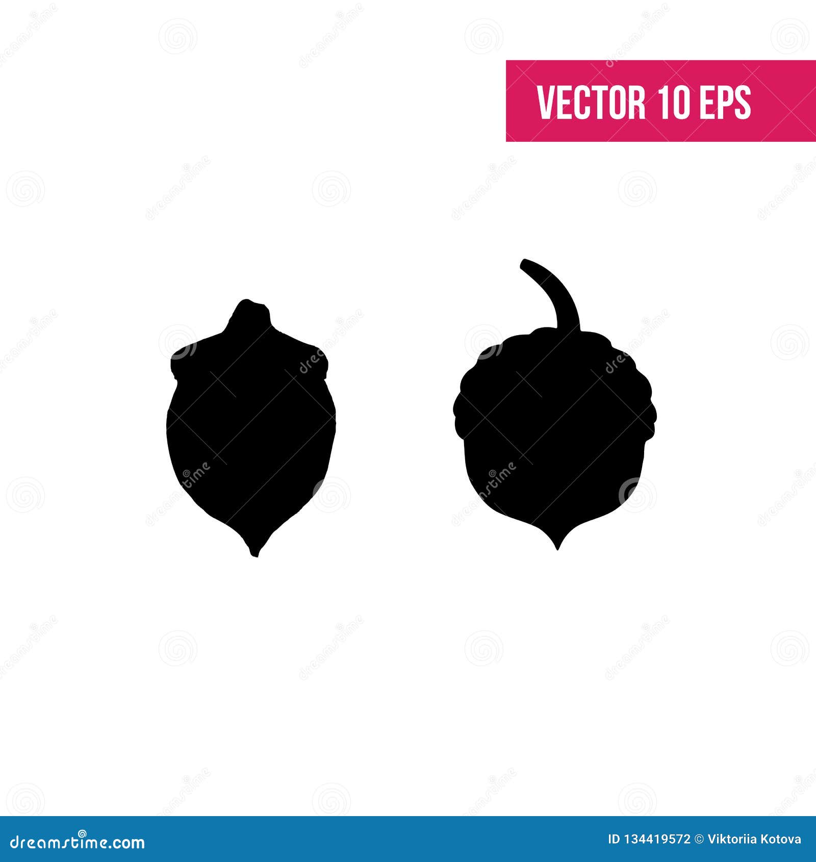 Acorn Icon In Different Versions. Acorns And Nuts Logo Cartoon Vector ...