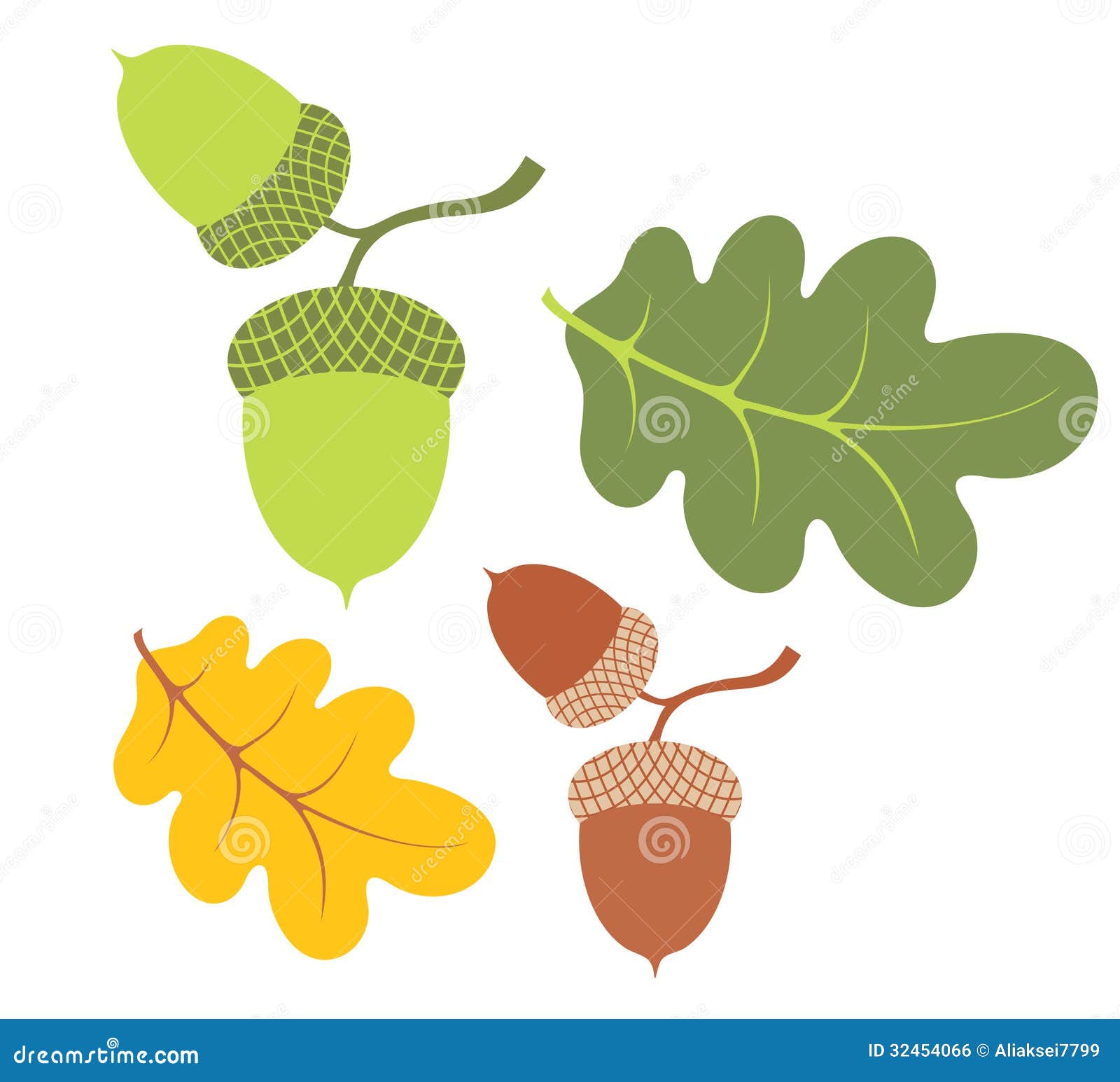 Acorn stock vector. Illustration of vector, isolated - 32454066