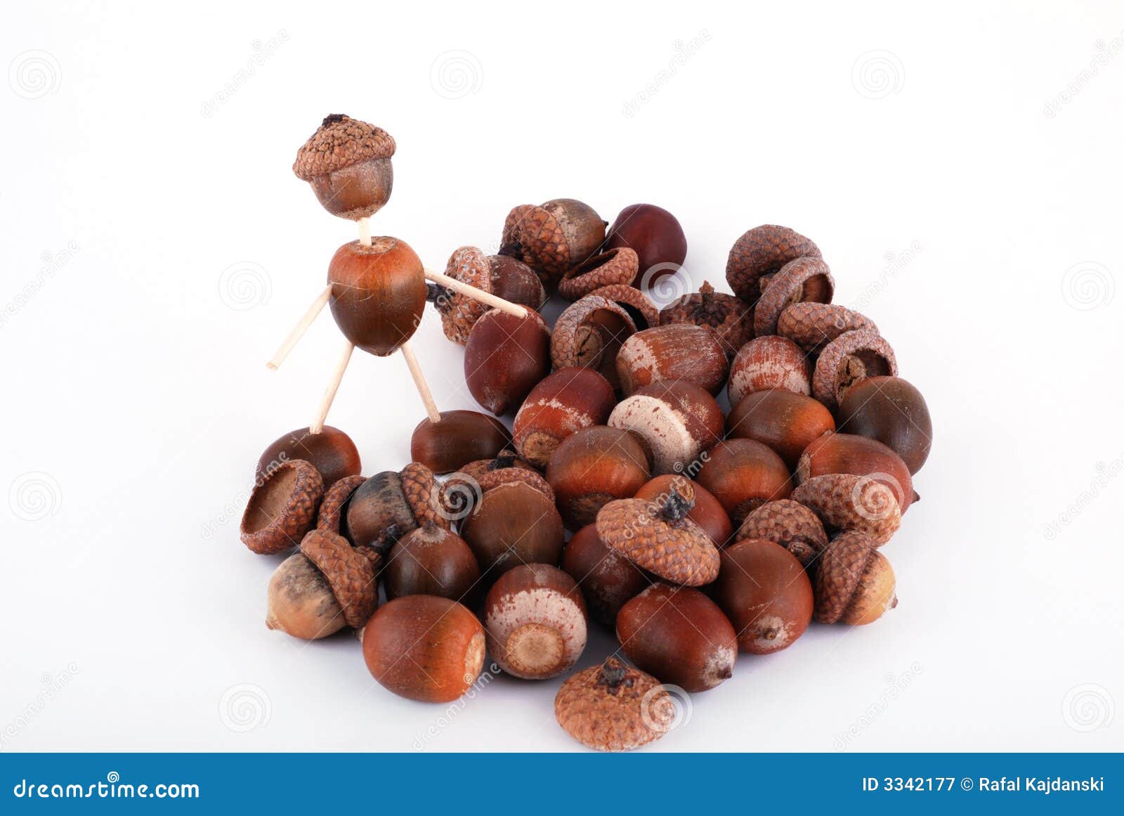 Acorn man stock image. Image of autumn, children, autumnal - 3342177
