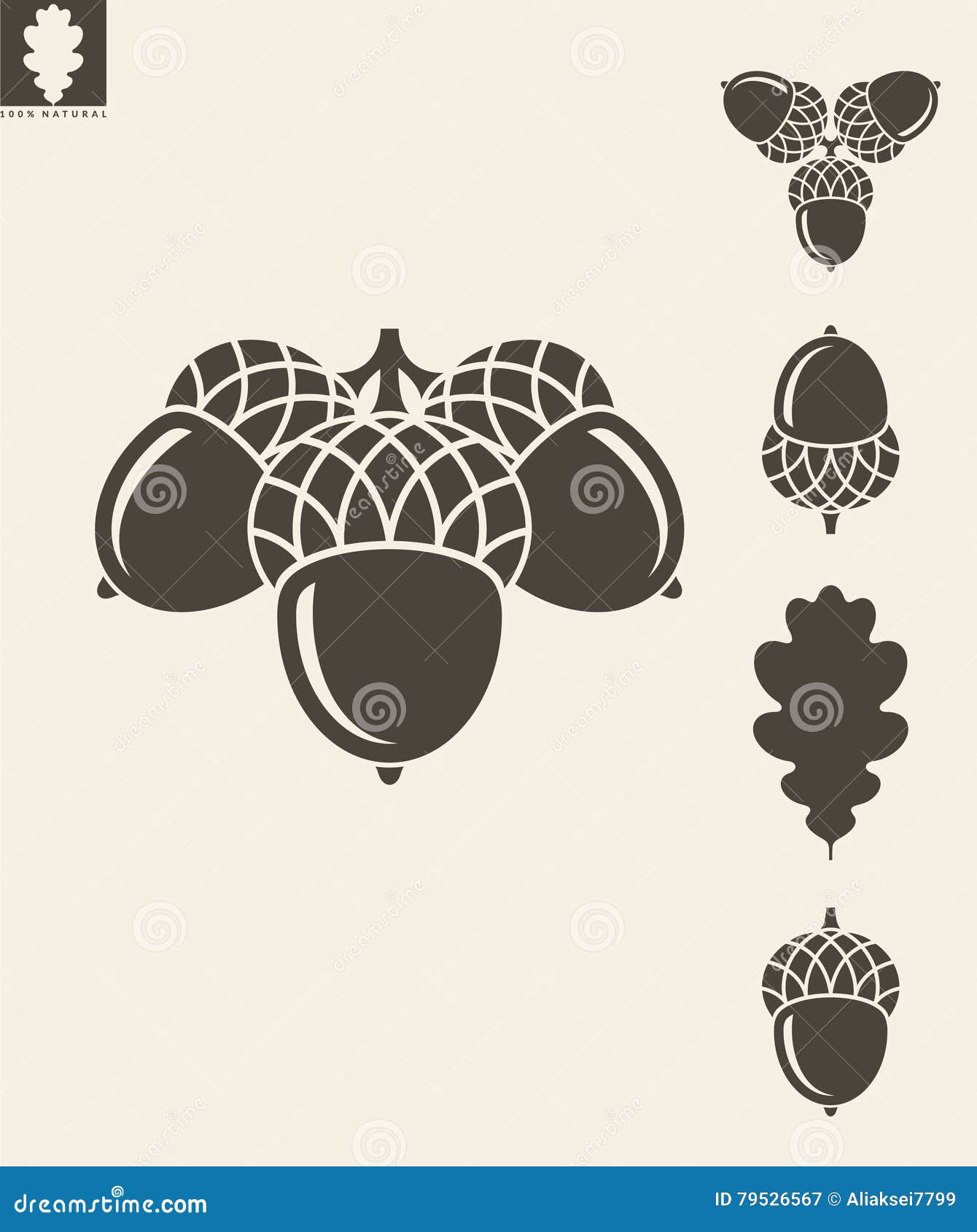 Acorn. Oak stock vector. Illustration of acorn, nature - 79526567