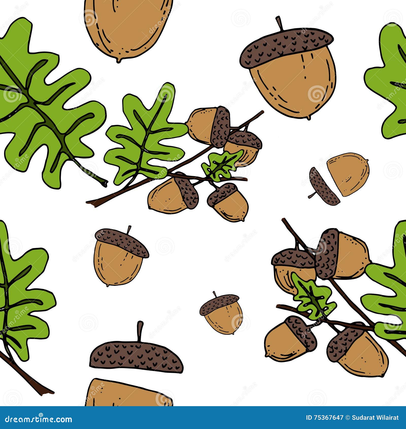 Acorn Pattern by Hand Drawing on White Backgrounds. Stock Illustration ...
