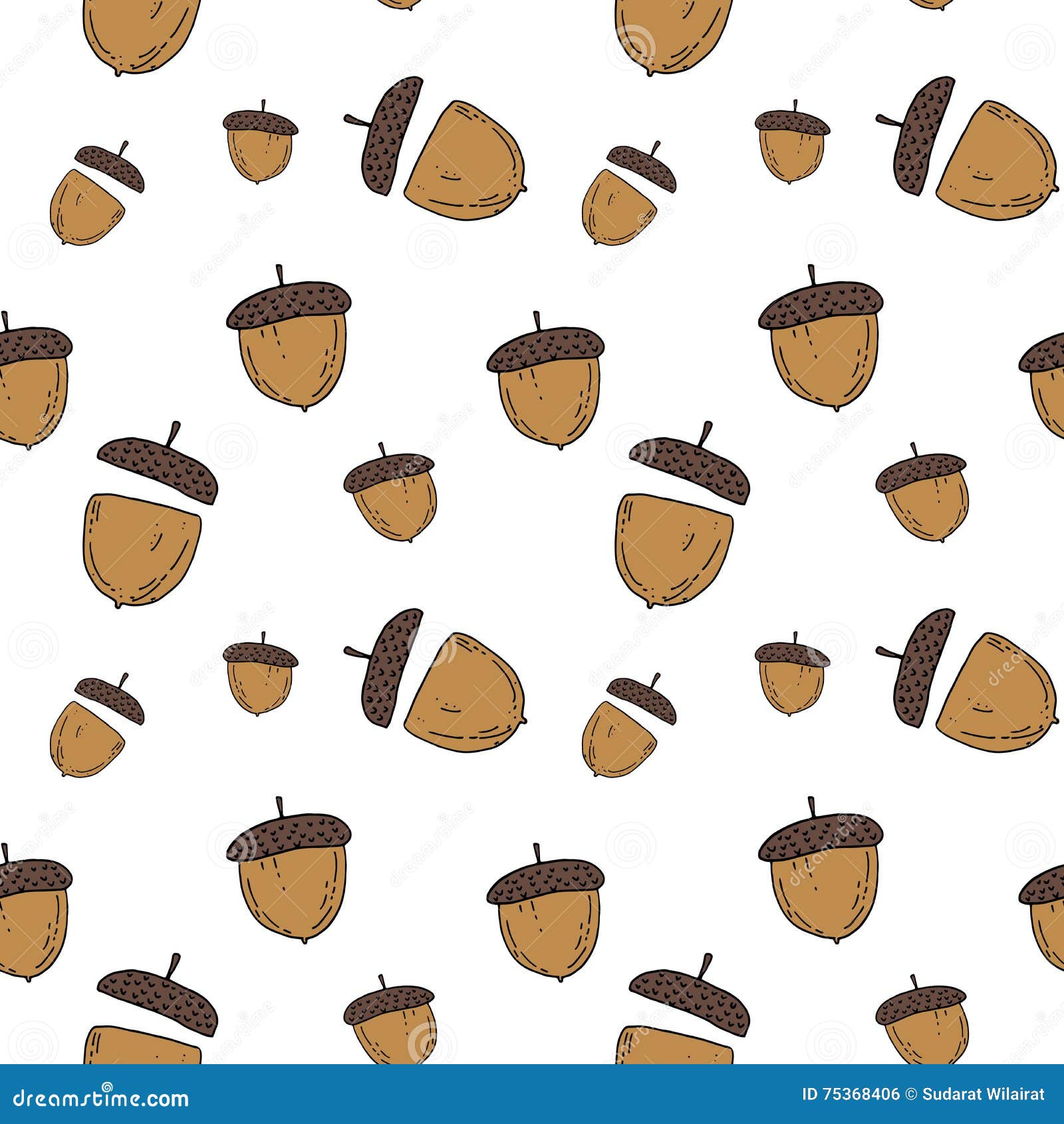 Acorn Pattern by Hand Drawing on White Backgrounds. Stock Illustration ...
