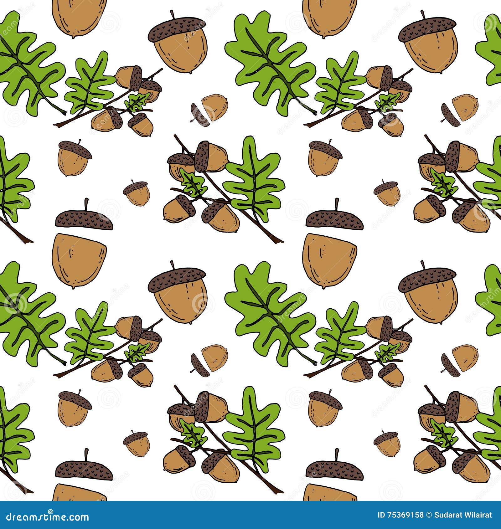 Acorn Pattern by Hand Drawing on White Backgrounds. Stock Illustration ...