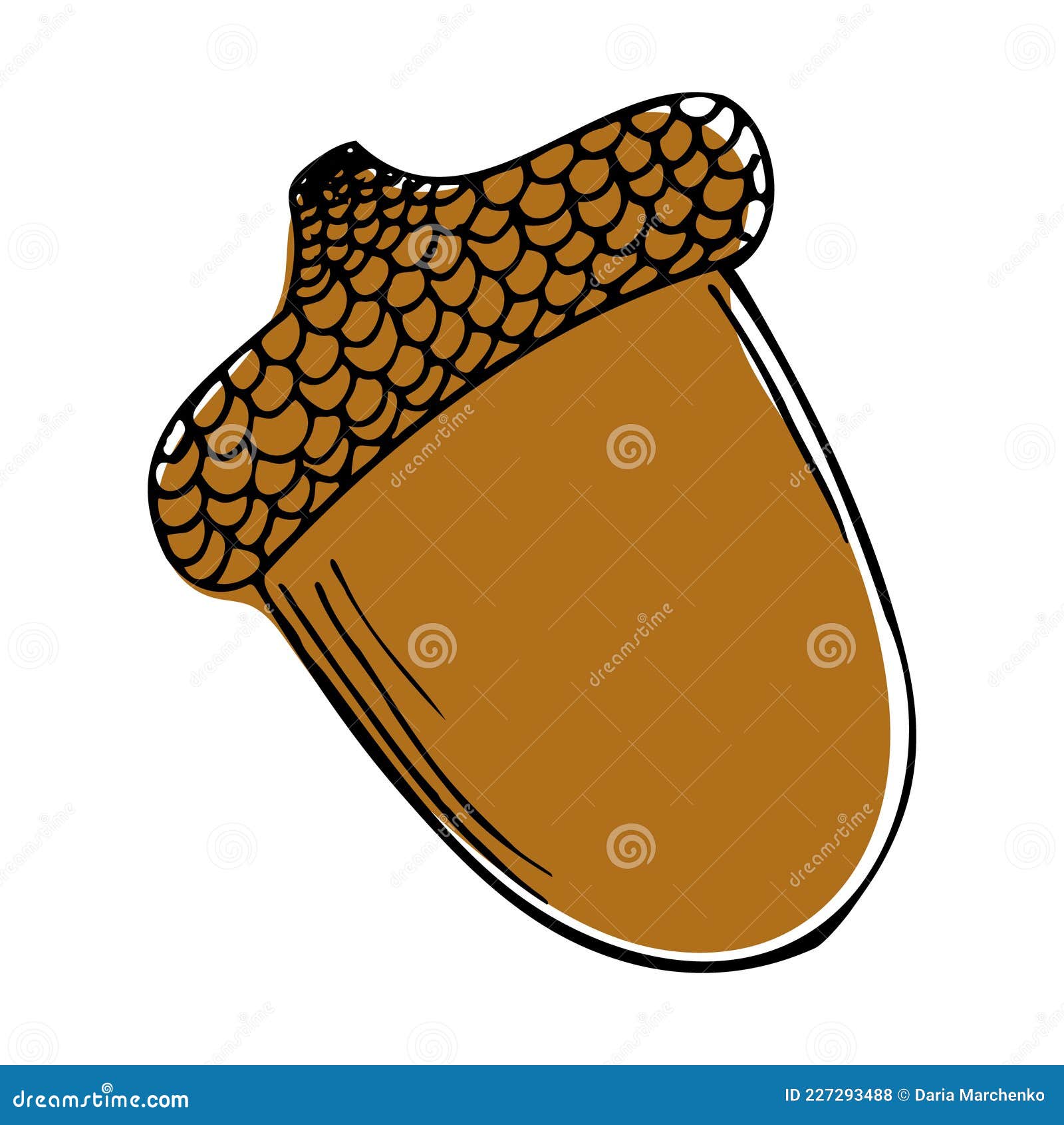 Acorn Sketch Illustration. Hand Drawn Acorn. Vector Illustration ...