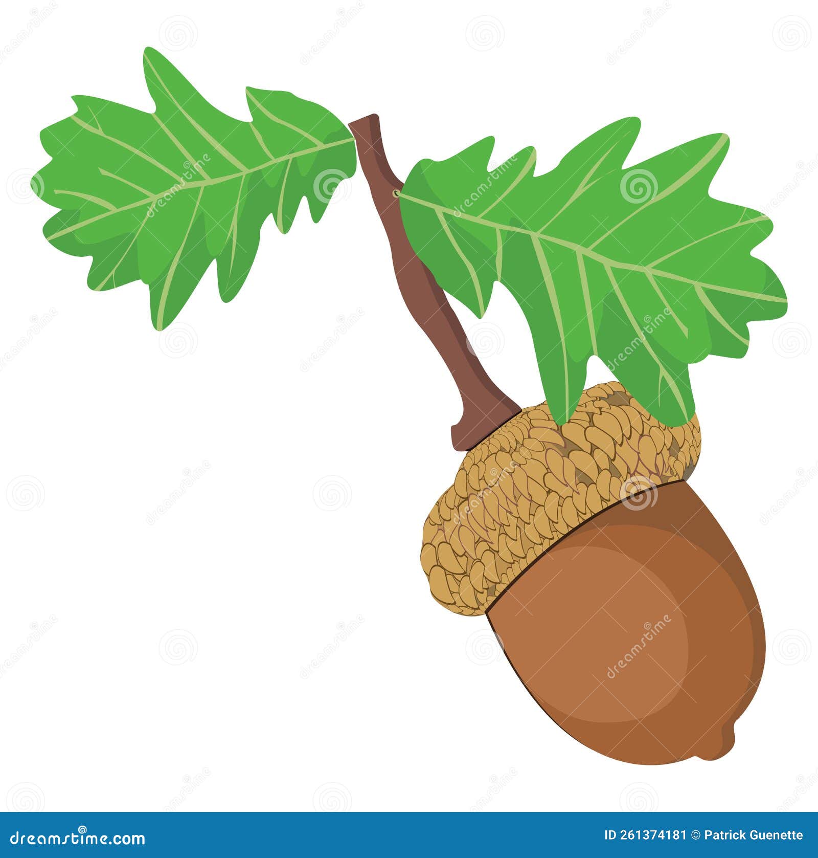 Acorn on a tree, icon stock vector. Illustration of seasonal - 261374181