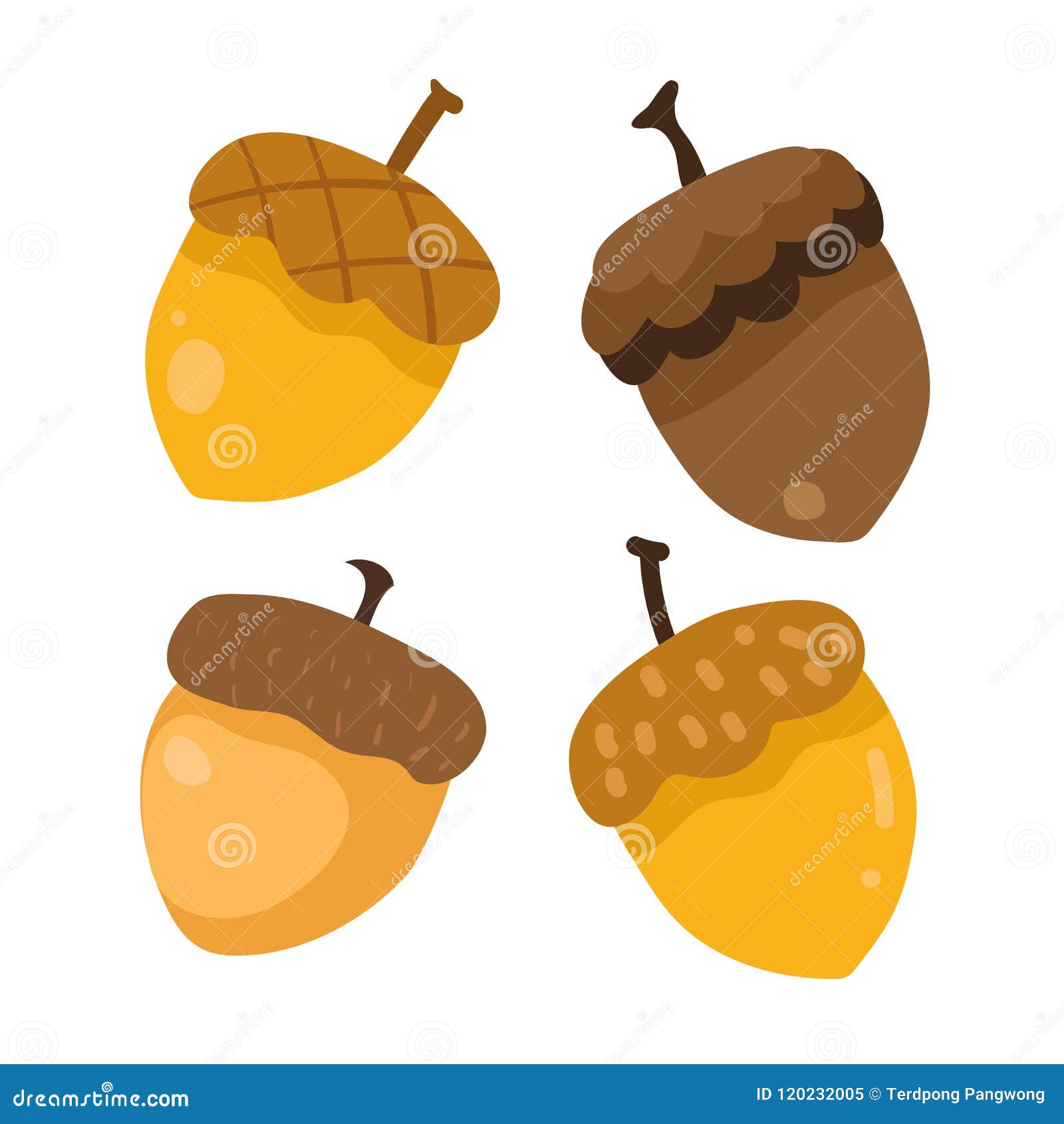 Acorn Vector Collection Design Stock Illustration - Illustration of ...