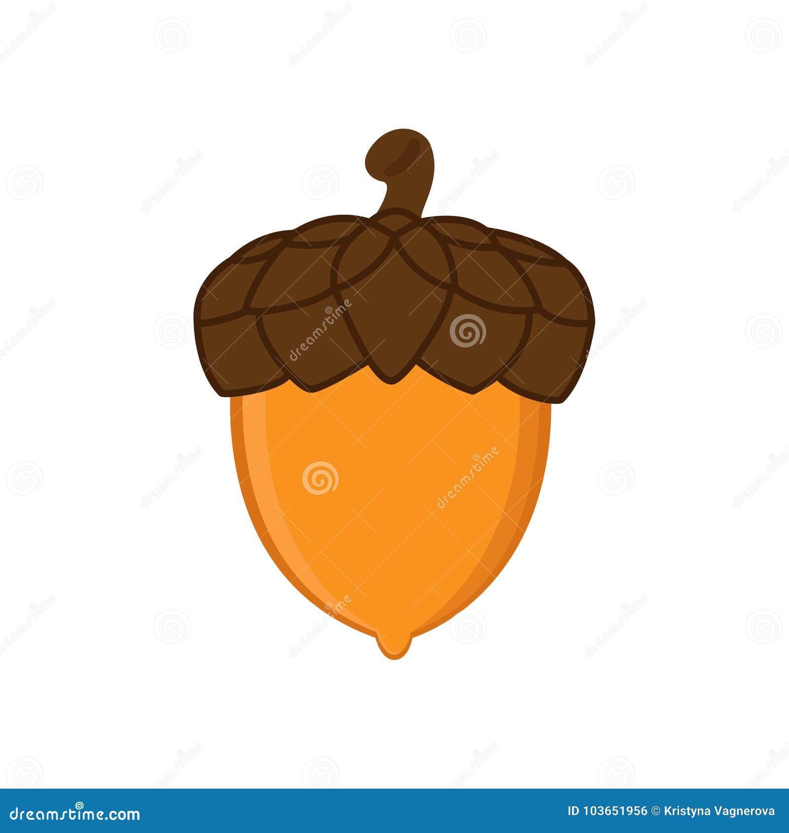 Acorn Oak Nut Vector Illustration Stock Vector - Illustration of light ...