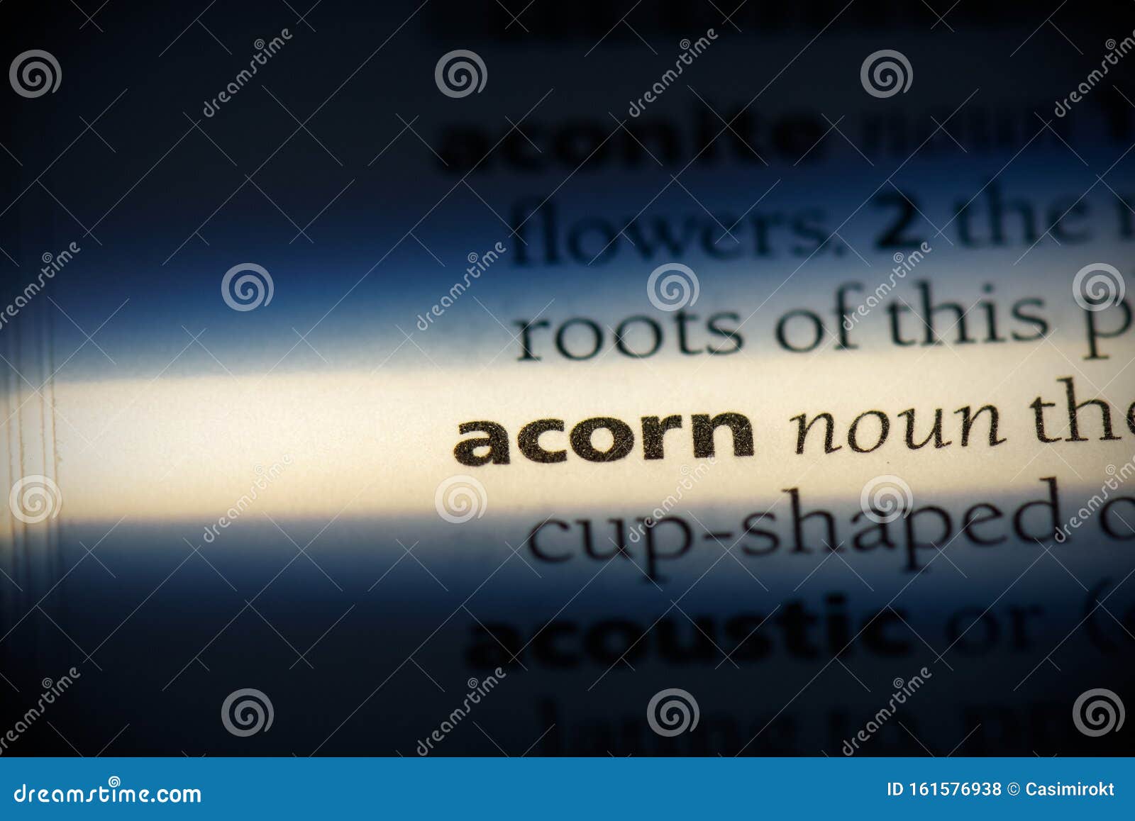 Acorn stock photo. Image of closeup, book, vocabulary - 161576938
