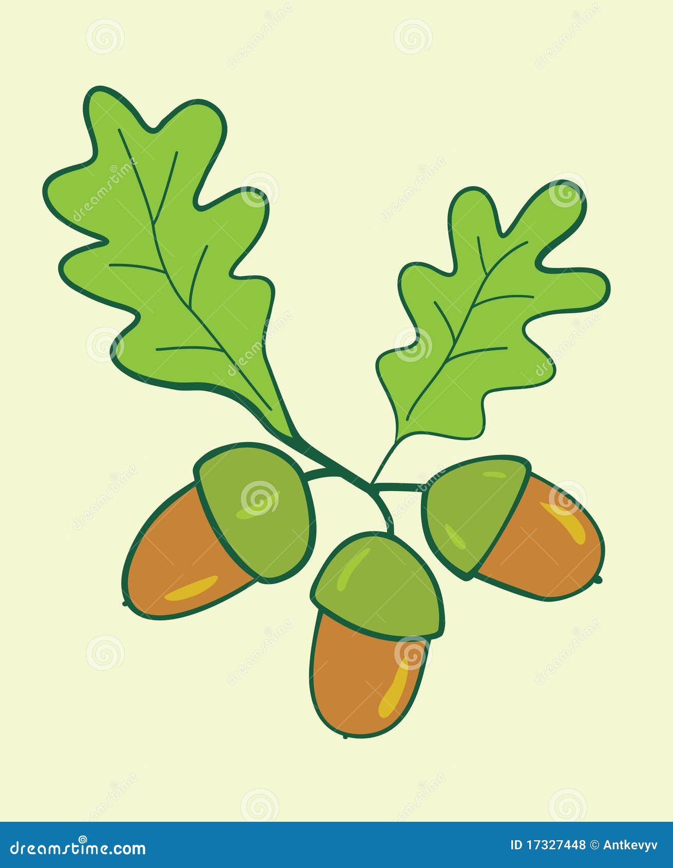 Acorns stock vector. Illustration of fall, september - 17327448