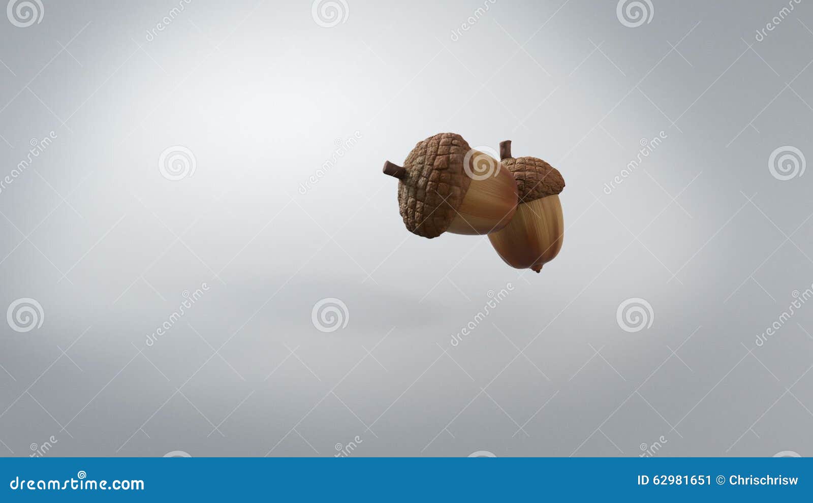 An Acorns Falling and Bouncing in Slow Motion. Stock Video - Video of ...