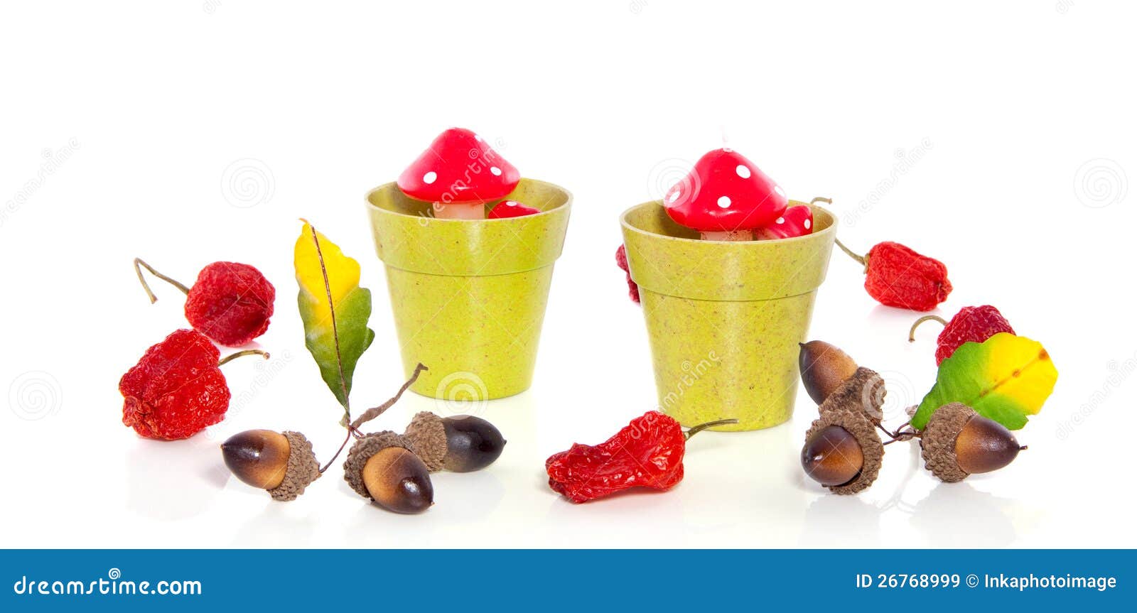 Acorns and mushrooms stock image. Image of change, home - 26768999