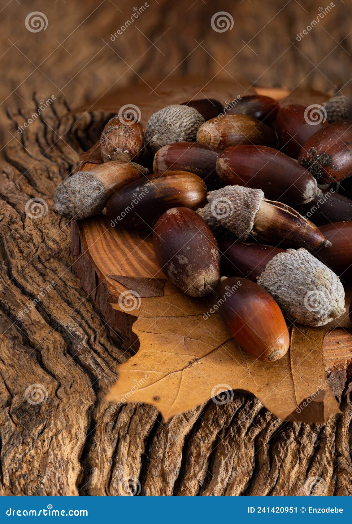 Acorns on Rustic Wooden Background Stock Image - Image of colors ...