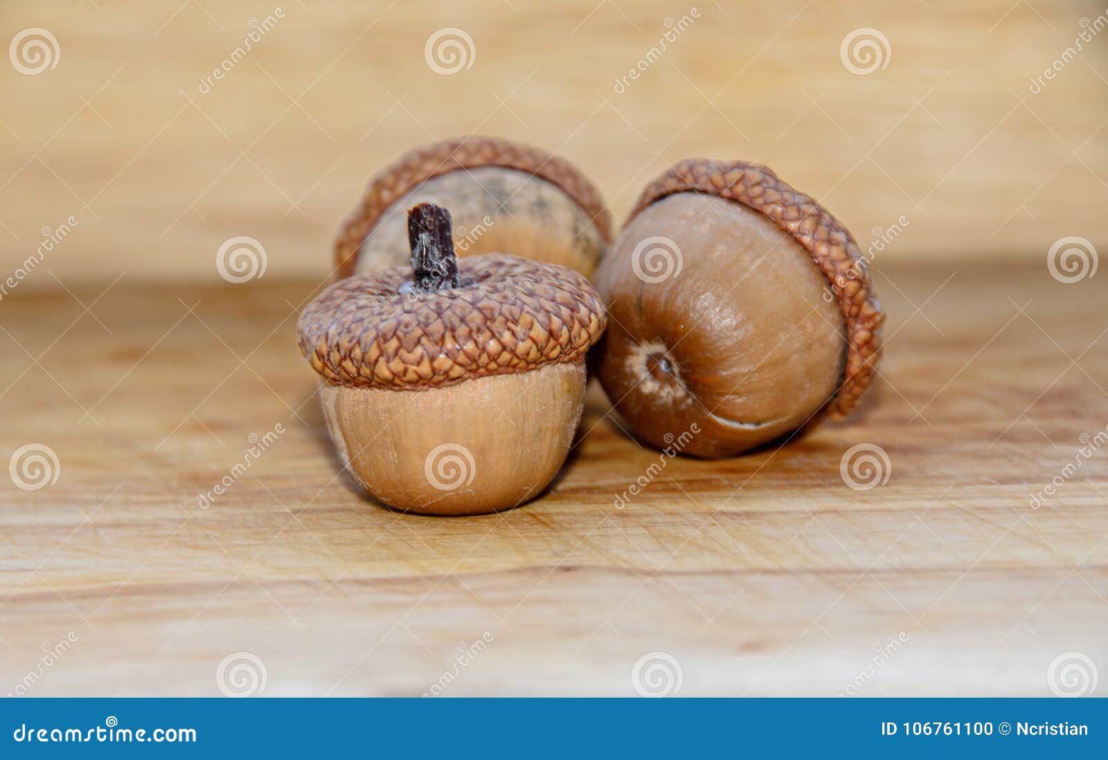 Acorns with Shells Standing on Wood Background, Oak Nuts, Close Stock ...