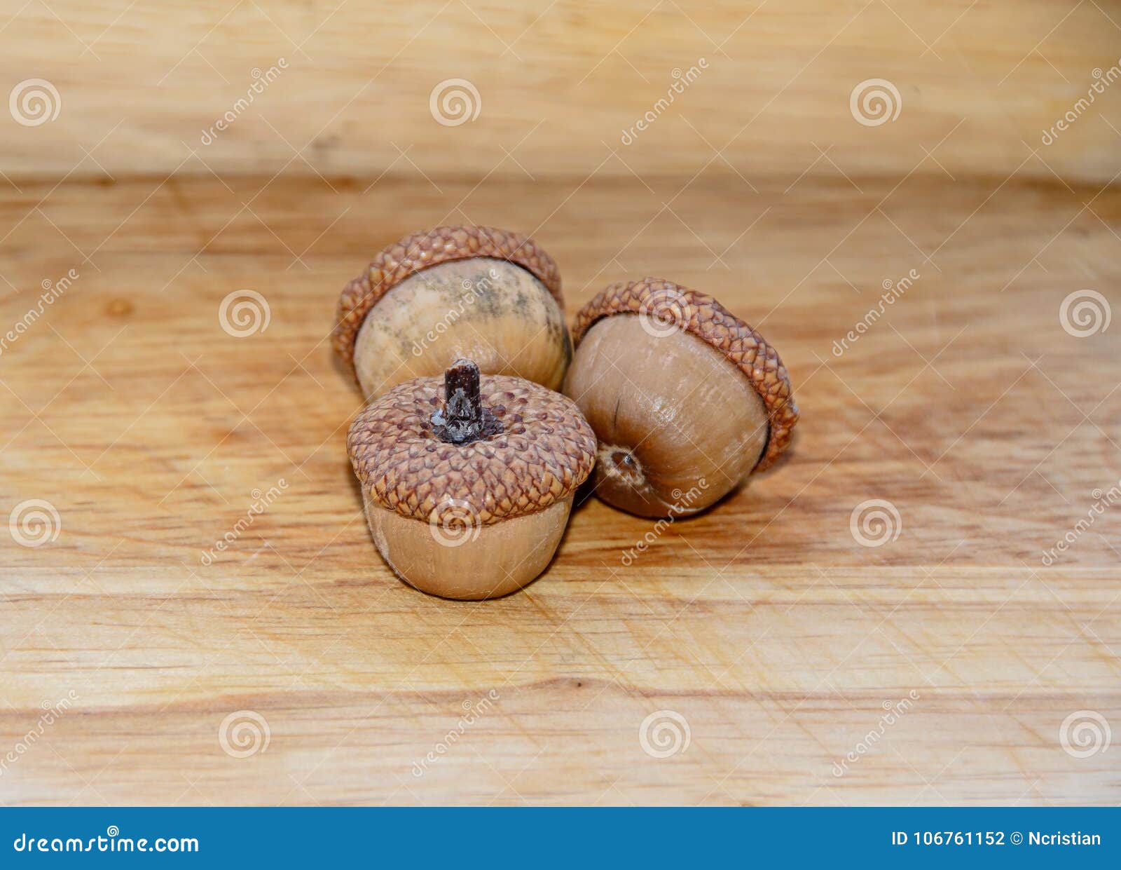 Acorns with Shells Standing on Wood Background, Oak Nuts, Close Stock ...