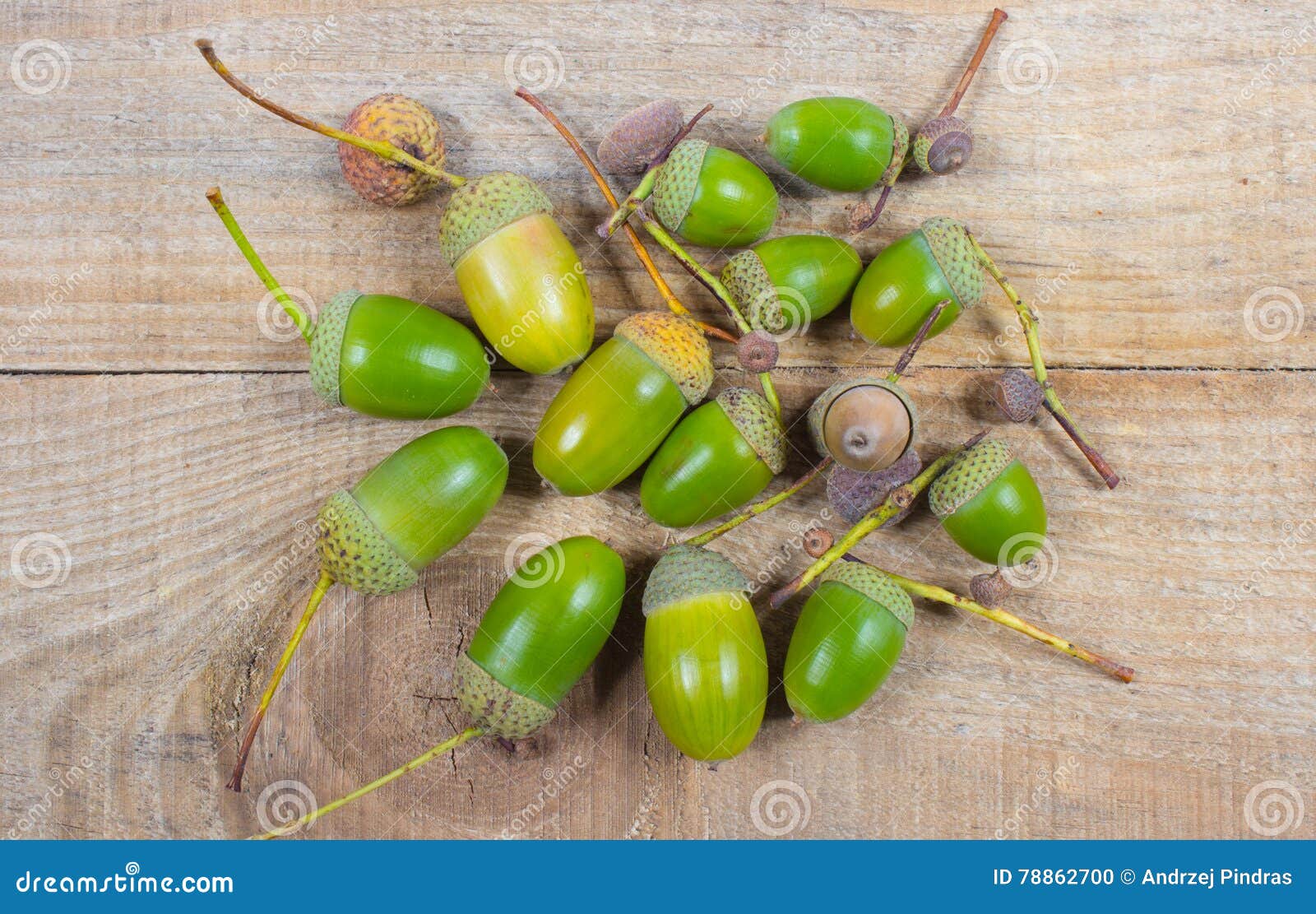 Acorns on a wooden table stock photo. Image of food, pile - 78862700