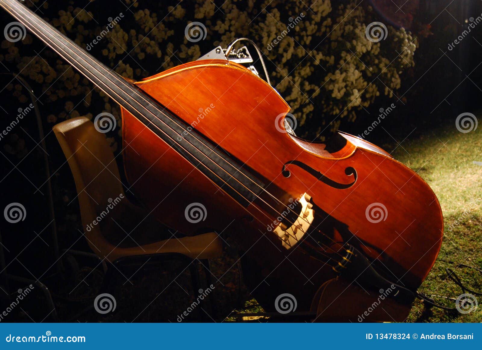 Acoustic bass stock photo. Image of granted, bassist - 13478324