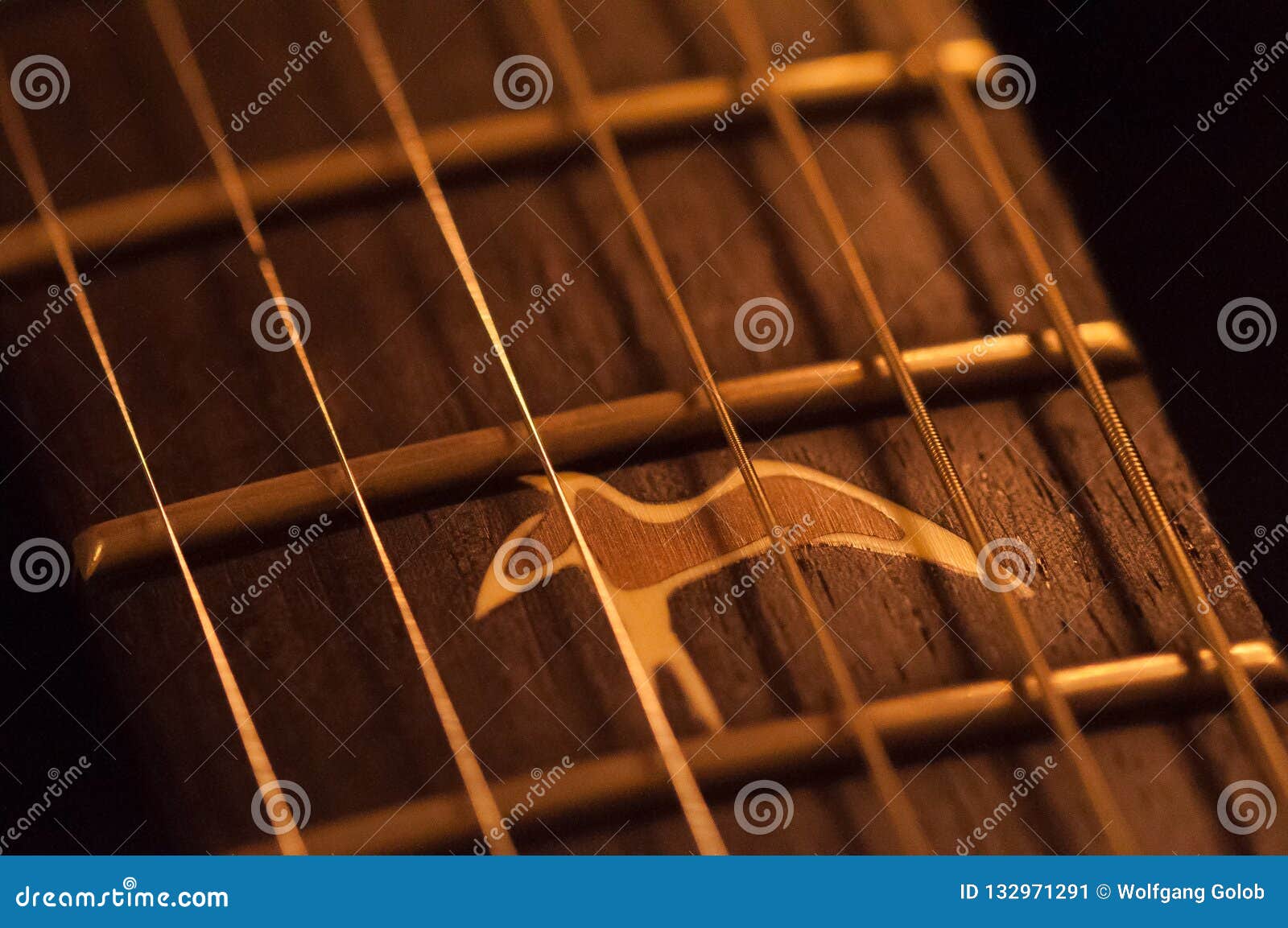 Acoustic Guitar Close-up Strings, Fingerboard Stock Image - Image of ...