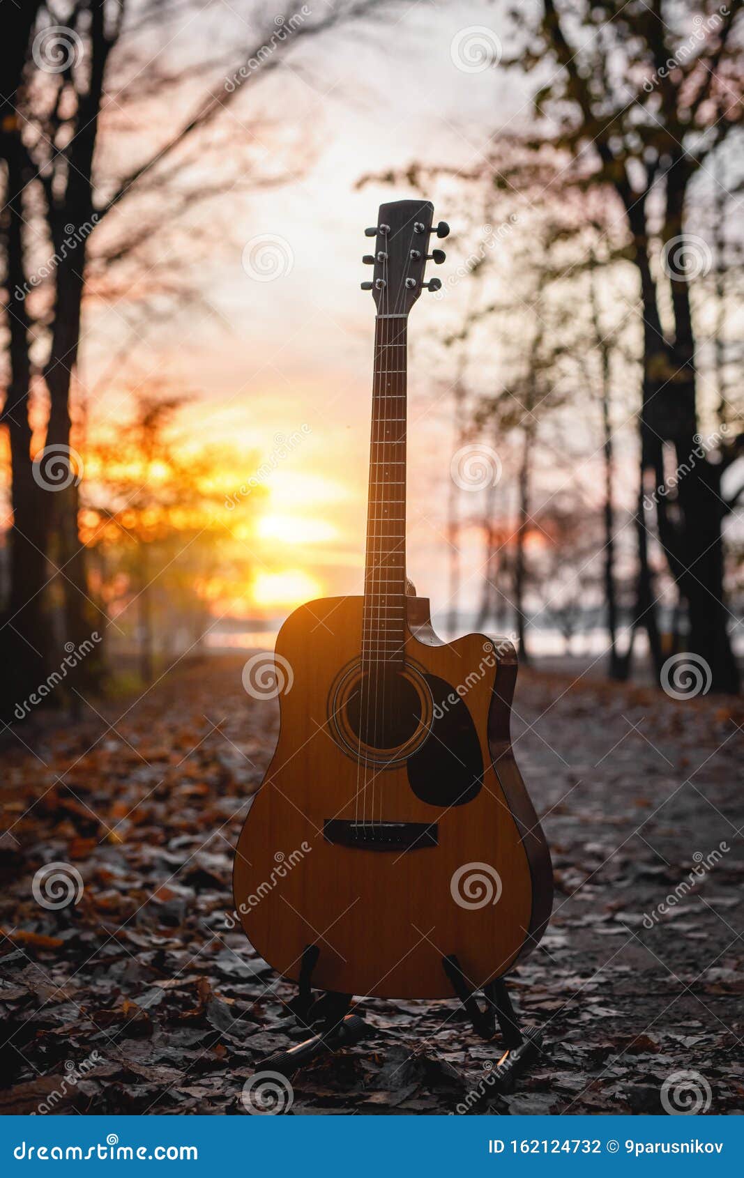 Acoustic Guitar in the Dark Autumn Forest Stock Photo - Image of ...