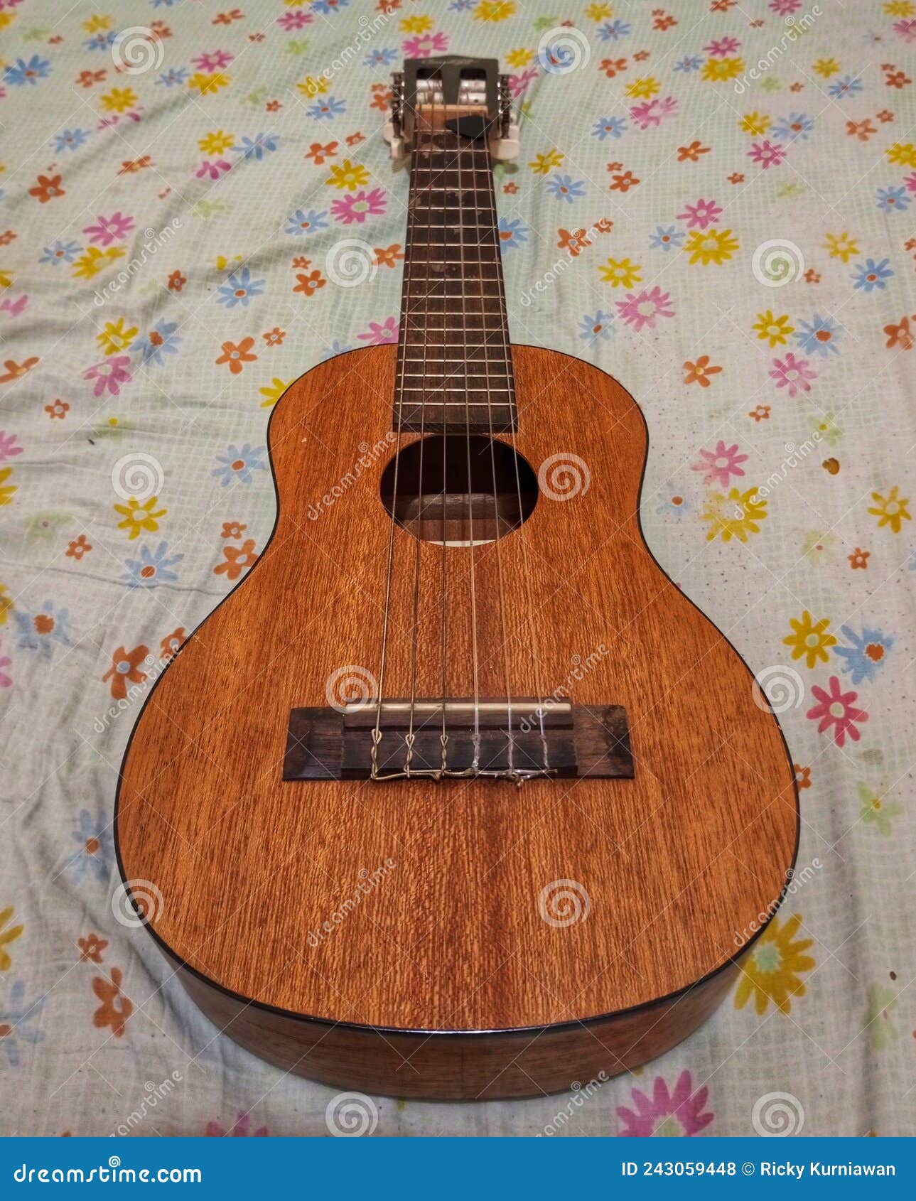 Acoustic Guitar, Small Classical Guitar Made of Wood with 6 Nylon ...