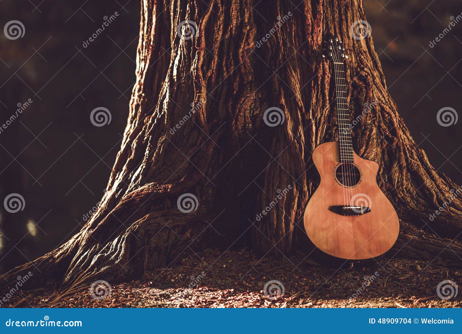 Acoustic Guitar and Tree stock photo. Image of instrumental - 48909704